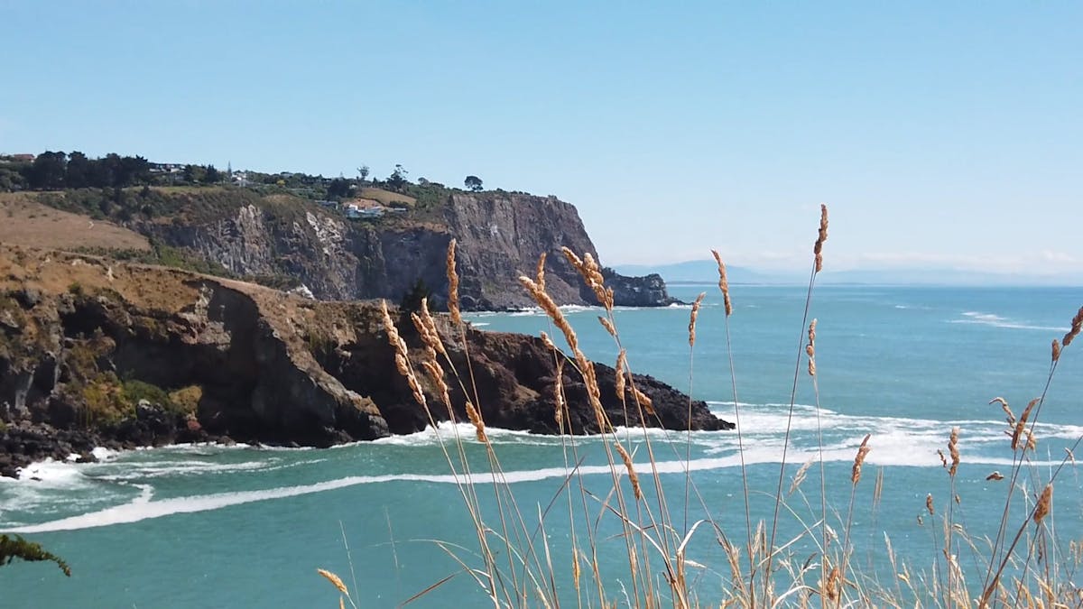 Calm Videos, Download The BEST Free 4k Stock Video Footage & Calm HD ...