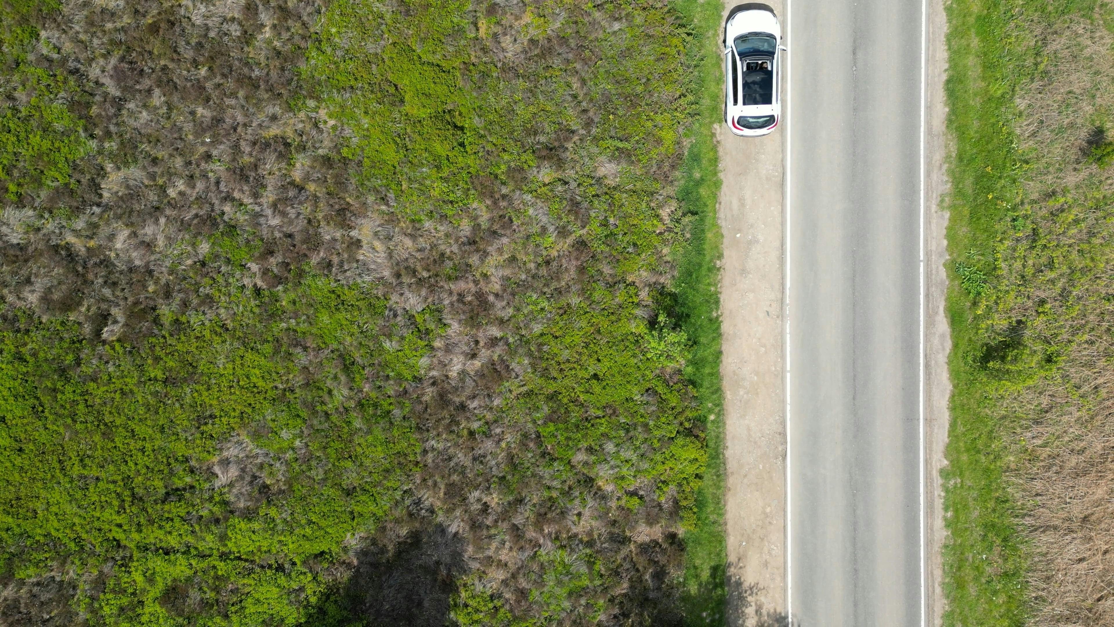 Paths Path Videos, Download The BEST Free 4k Stock Video Footage ...