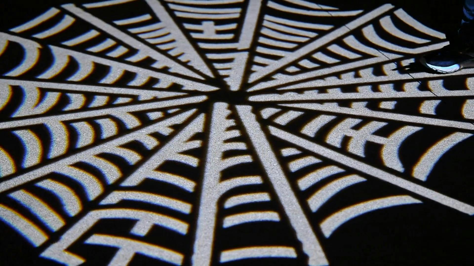 Webbed Feet In Lizards Videos, Download The BEST Free 4k Stock Video ...