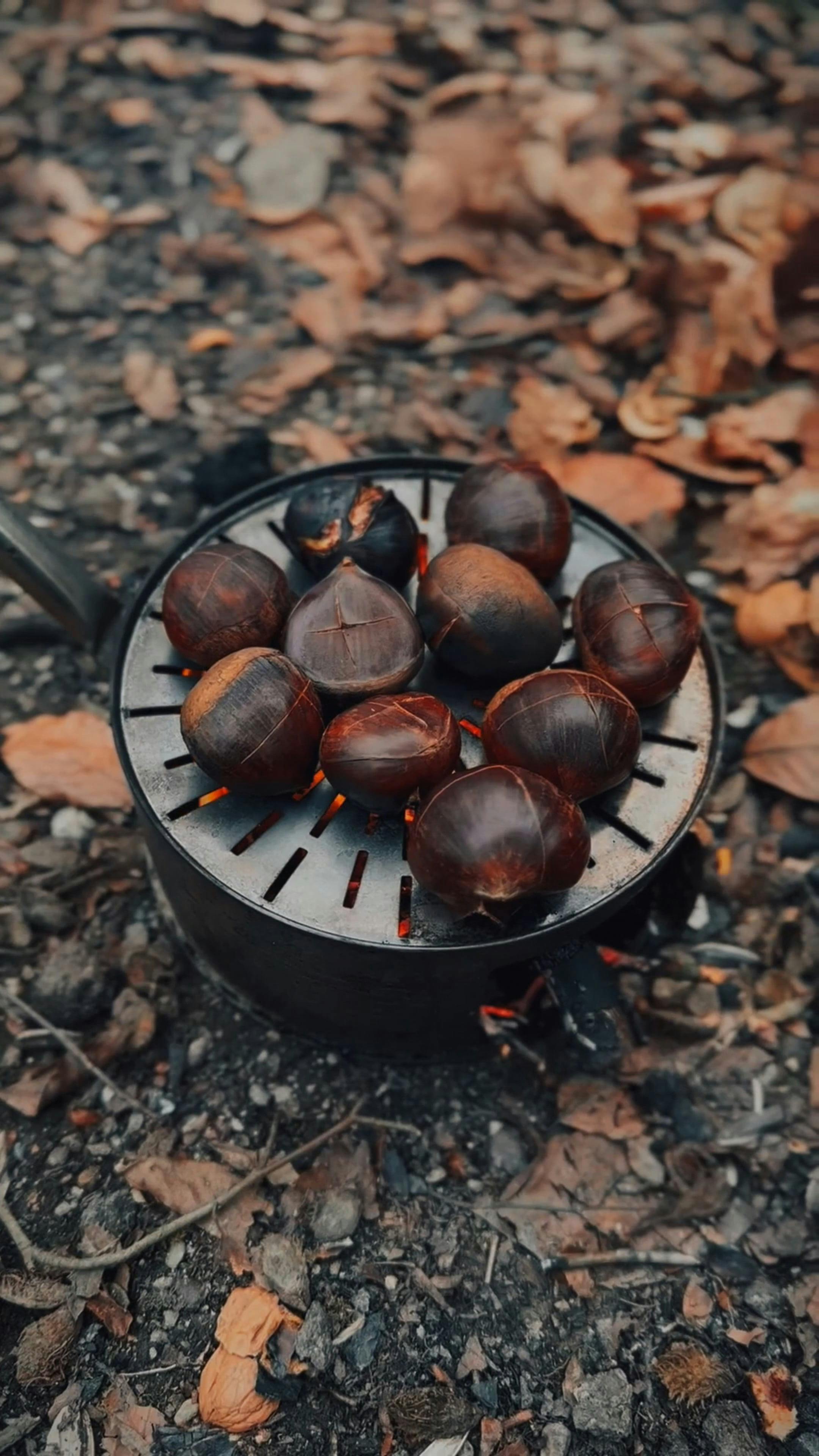 Maroon Fire Background Videos, Download The BEST Free 4k Stock Video ...