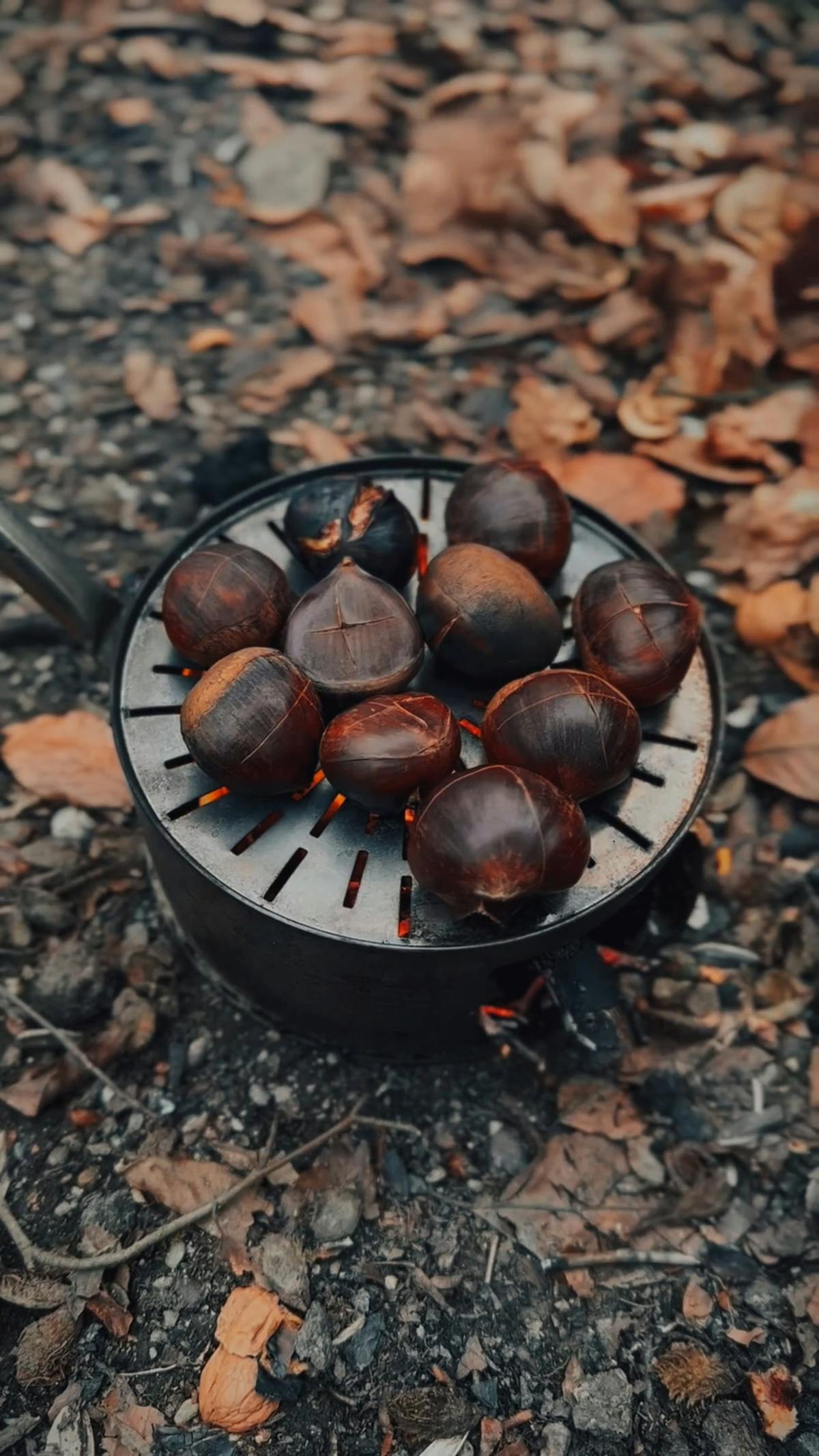 Maroon Fire Background Videos, Download The BEST Free 4k Stock Video ...