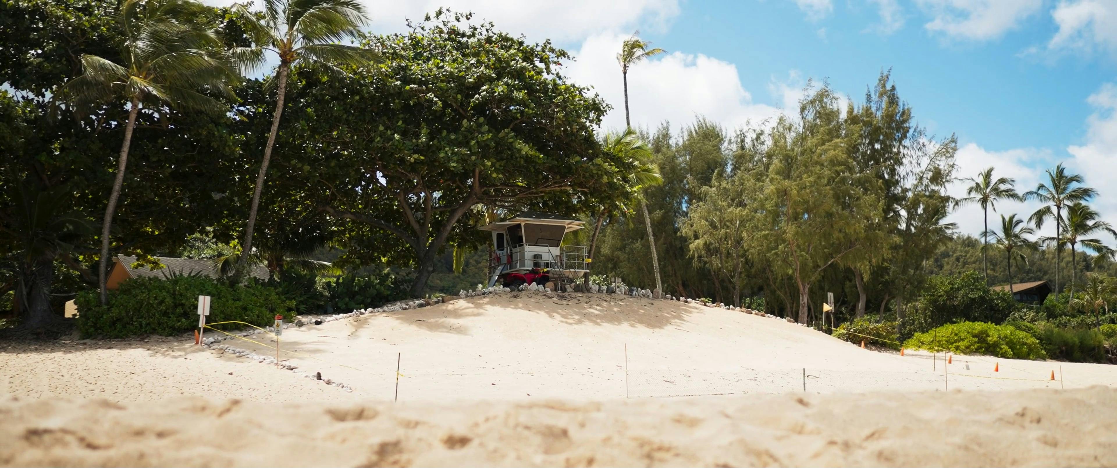 Tembela Bohle - Photography