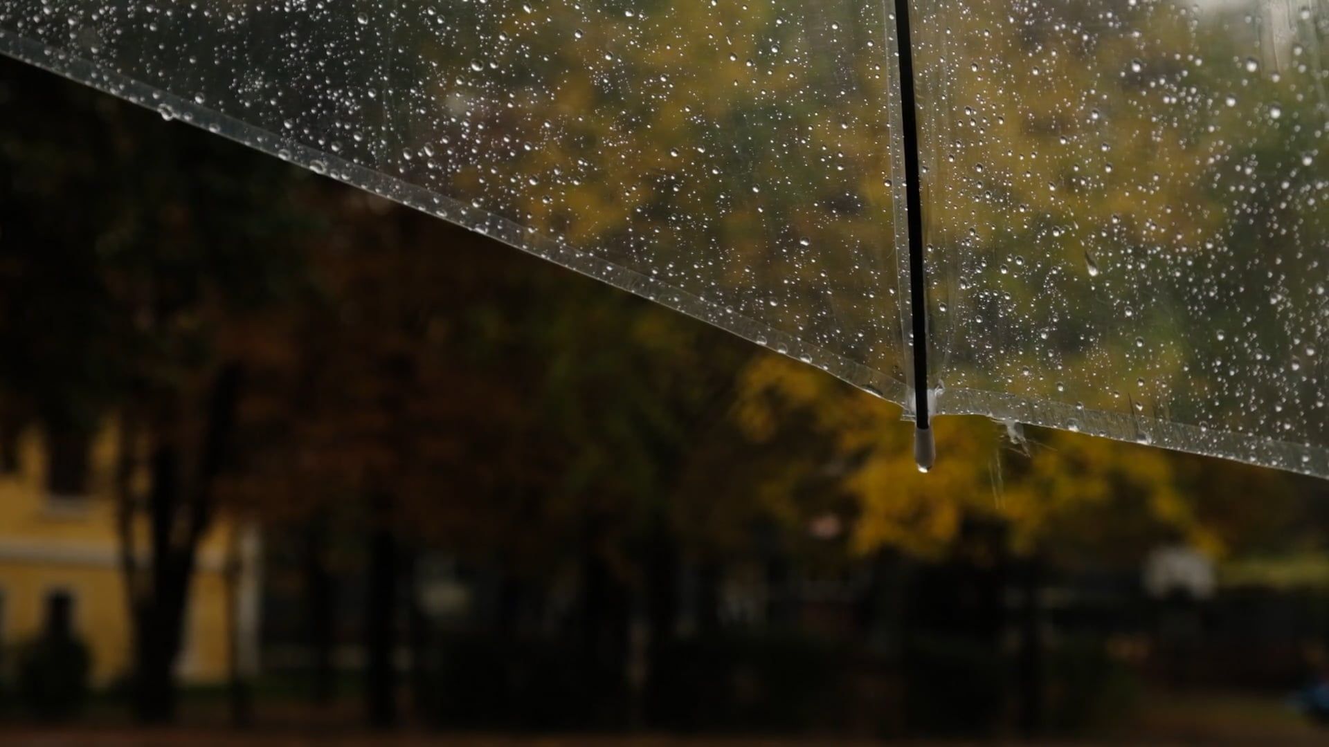 A close up of an umbrella with rain drops on it Free Stock Video ...