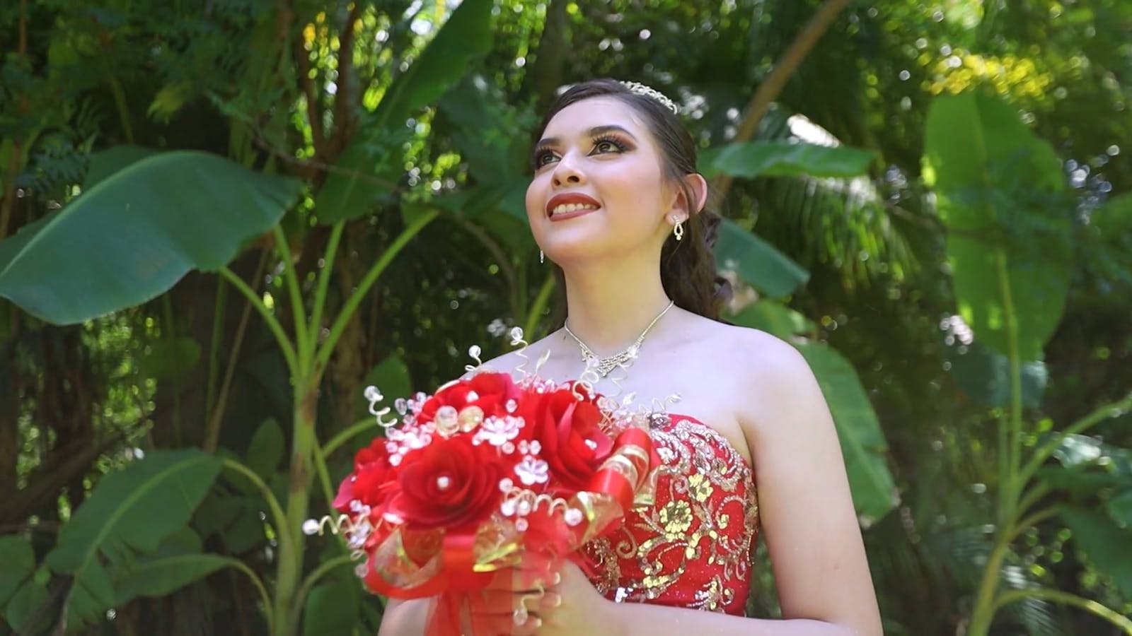 Xv Videos, Download The BEST Free 4k Stock Video Footage & Xv HD Video ...