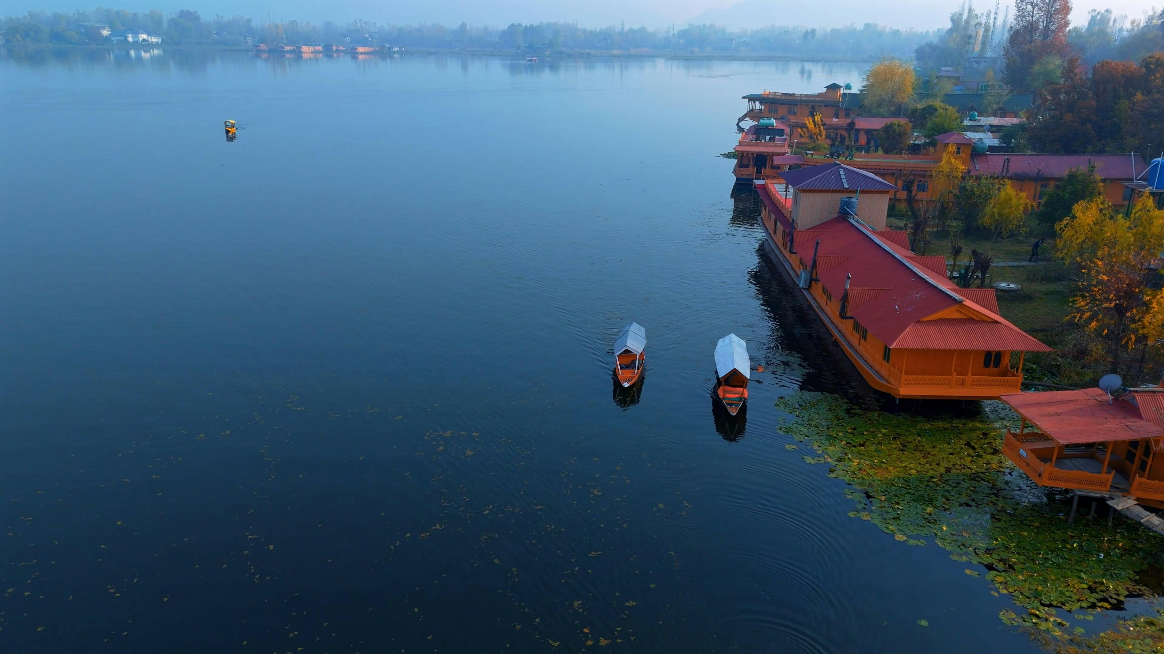 Shikara Boats in Nigeen Lake with Houseboat Free Stock Video Footage ...