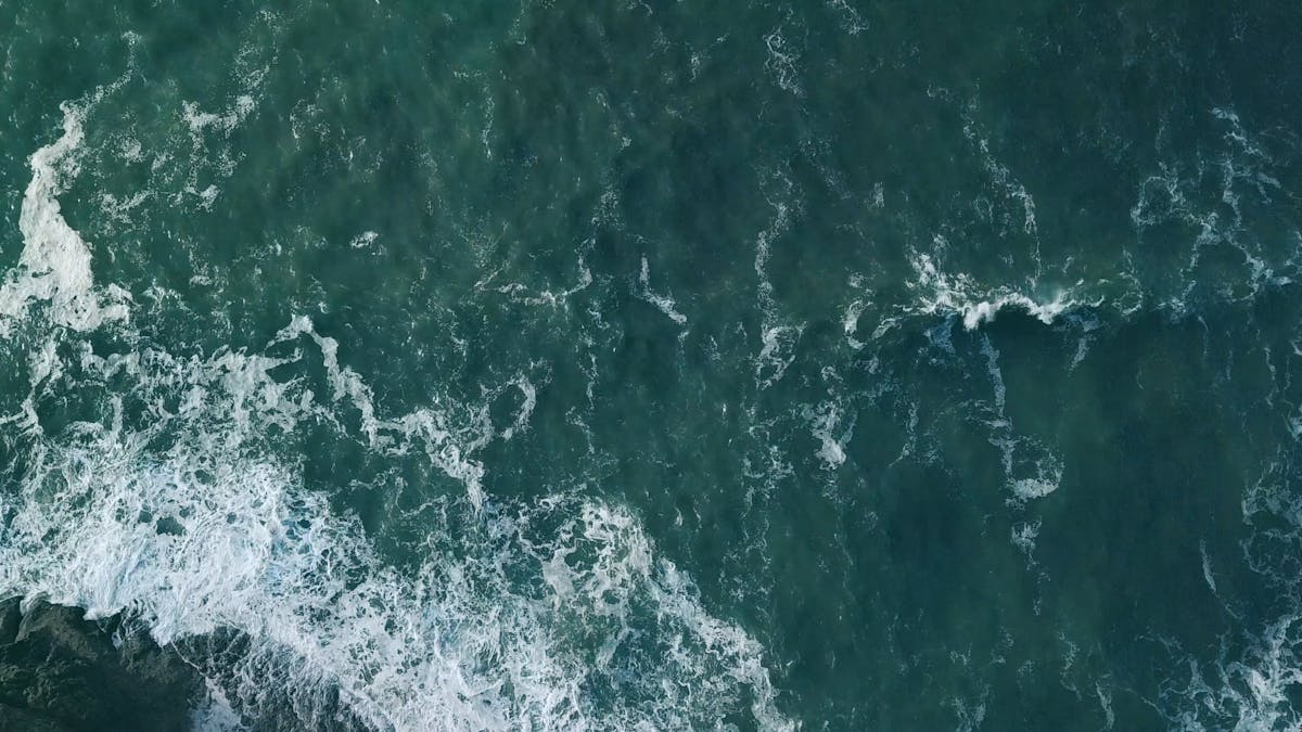 Oceans Videos, Download The BEST Free 4k Stock Video Footage & Oceans ...