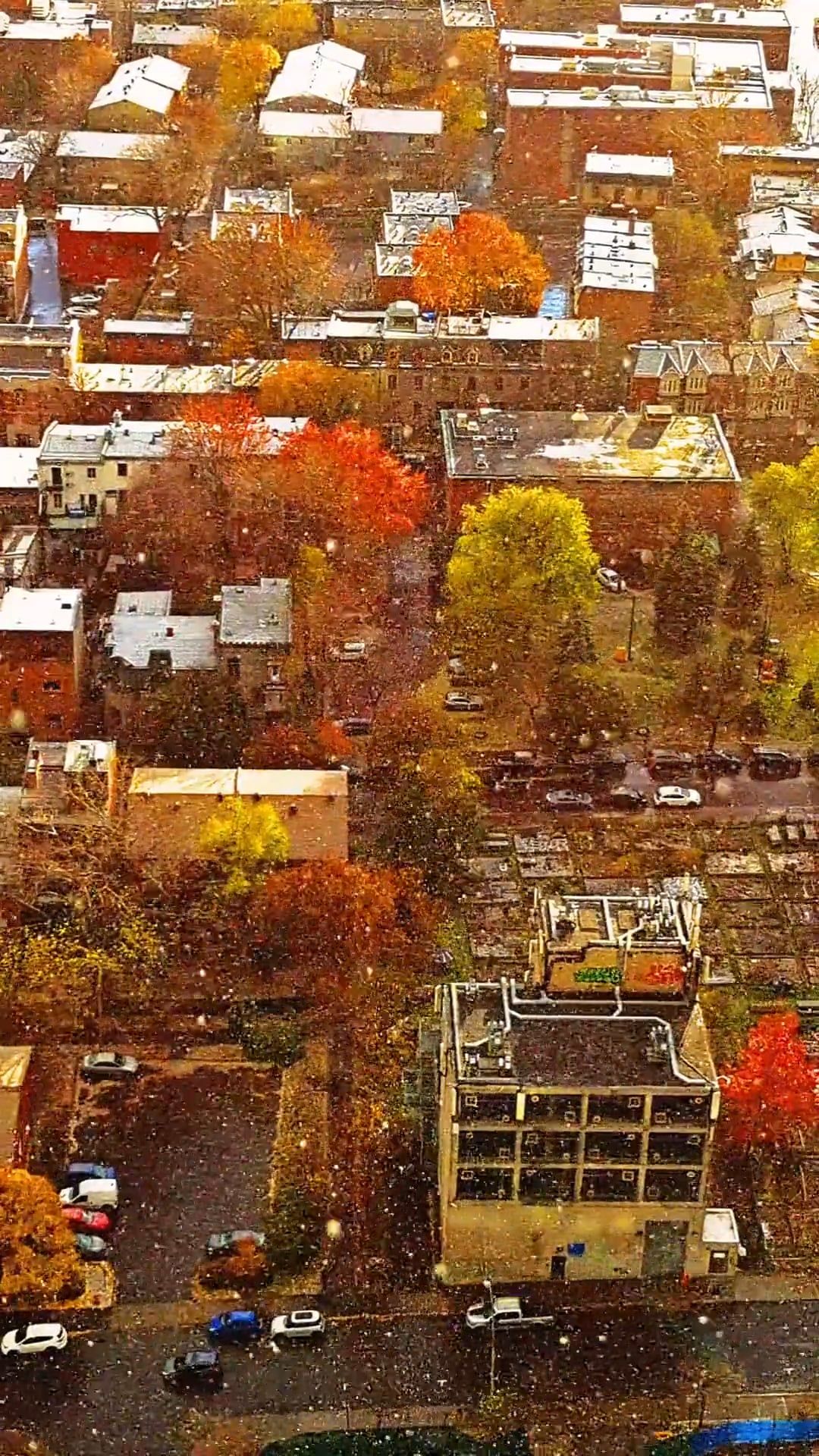 An aerial view of a city with fall colors Free Stock Video Footage ...