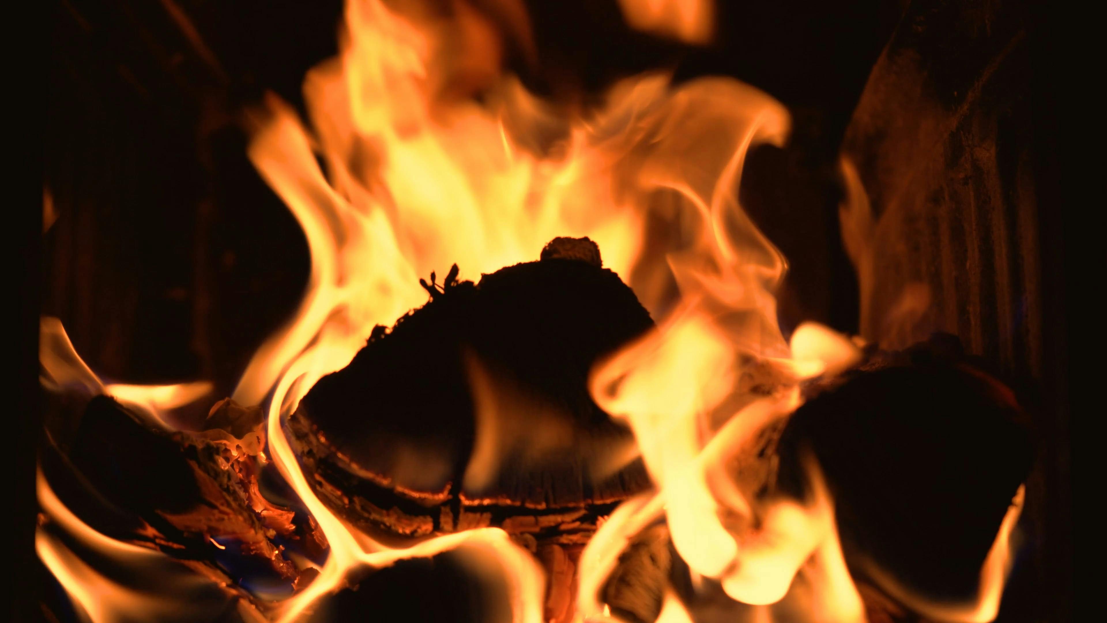Fire burning in the furnace. Close up view of wood in flames Free Stock ...