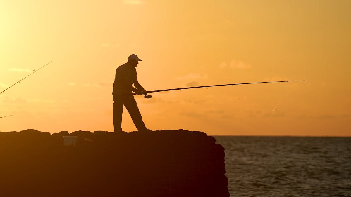 Shutterstock Videos, Download The BEST Free 4k Stock Video Footage ...