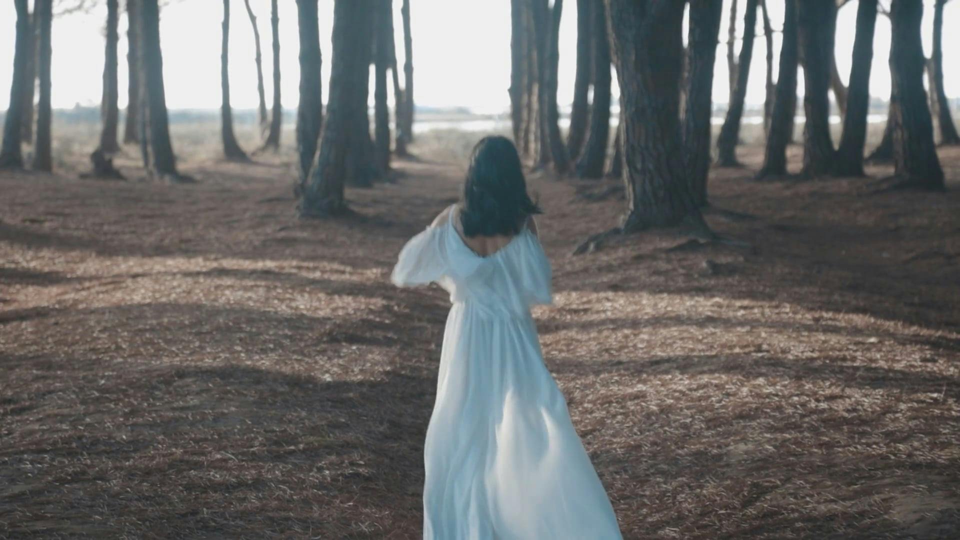 Autum Tree Videos, Download The BEST Free 4k Stock Video Footage ...