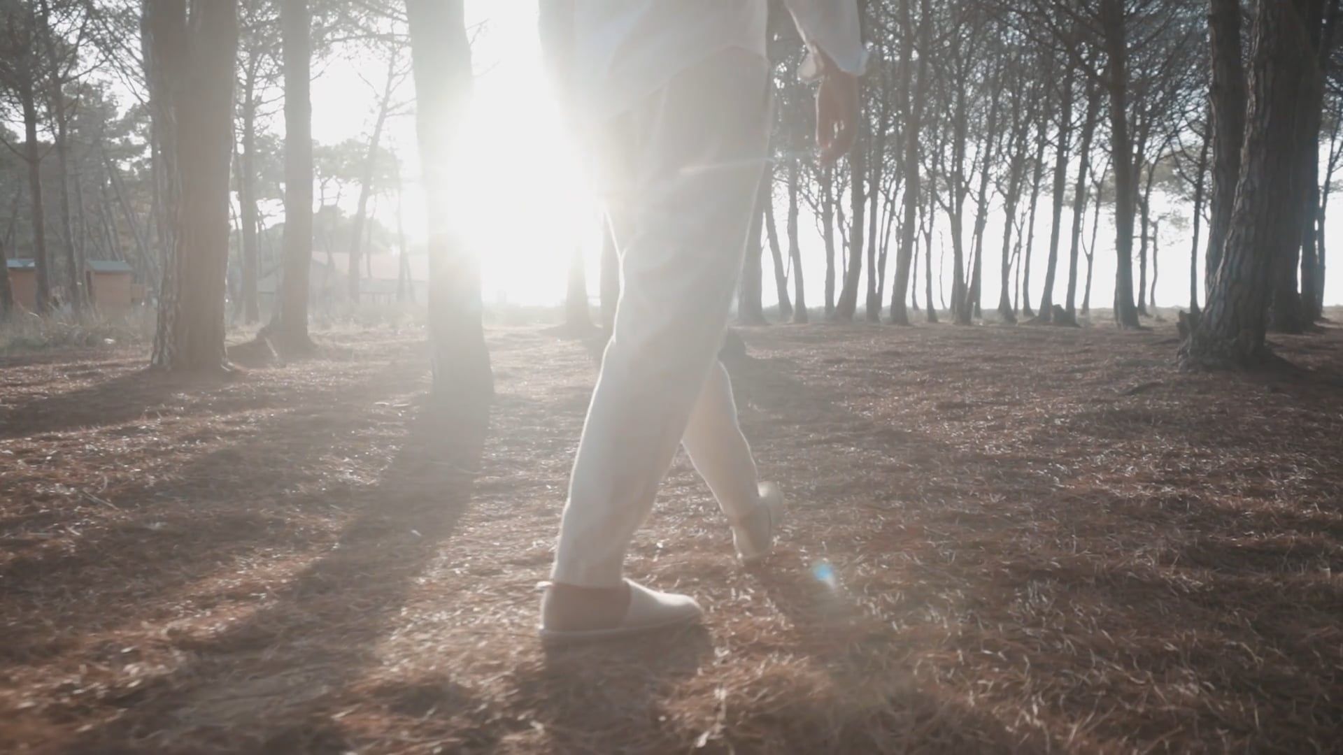 man walking on forest Free Stock Video Footage, Royalty-Free 4K & HD ...