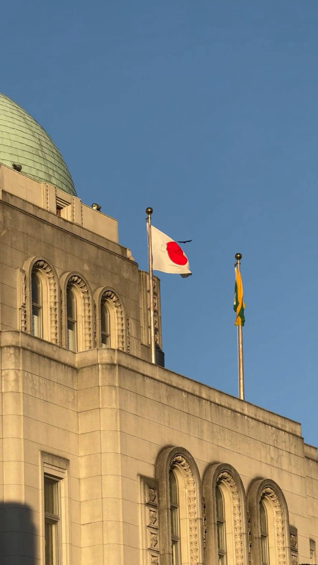 Japan City Flag Videos, Download The BEST Free 4k Stock Video Footage ...