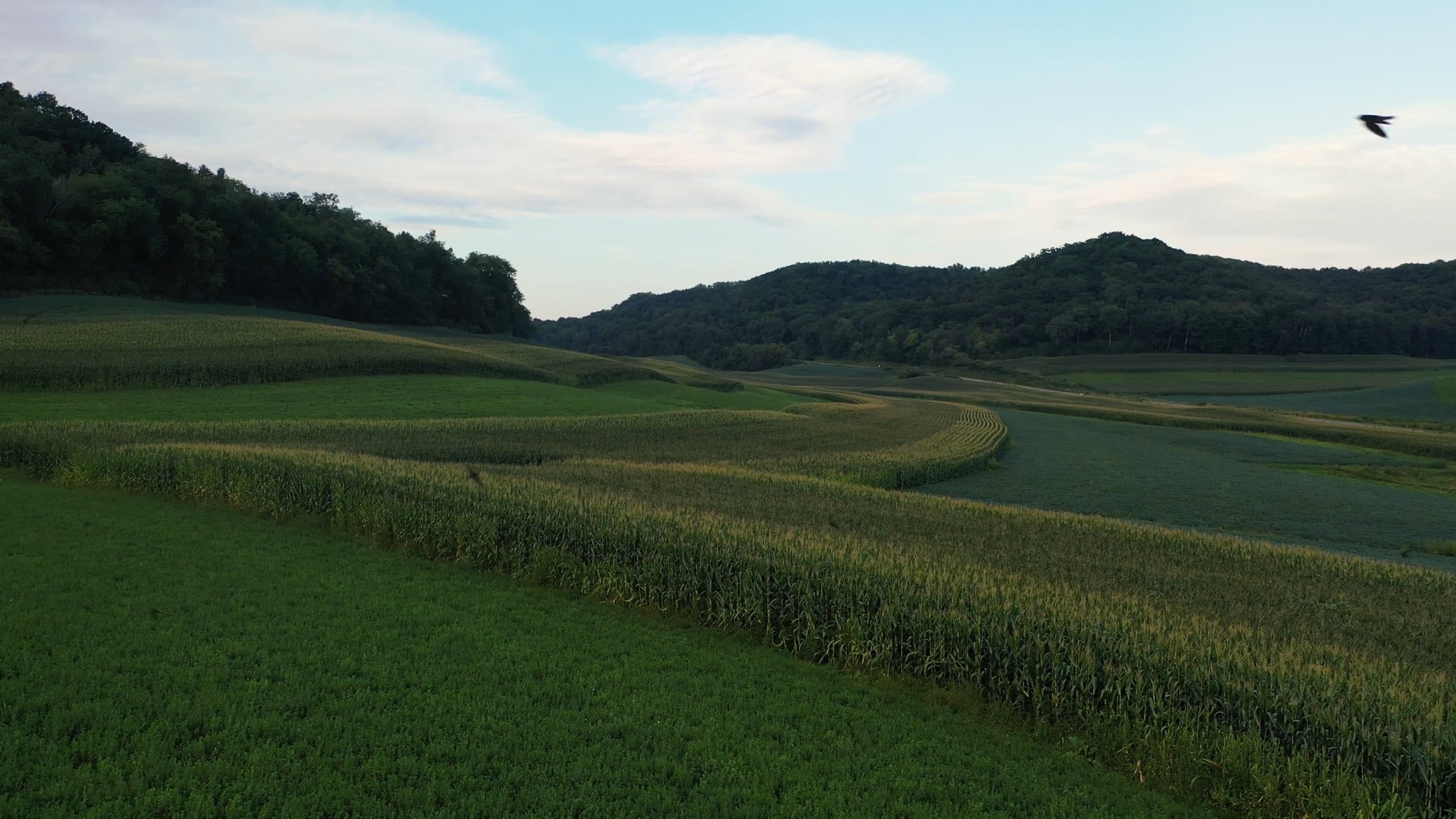Us Fields Videos, Download The BEST Free 4k Stock Video Footage & Us ...