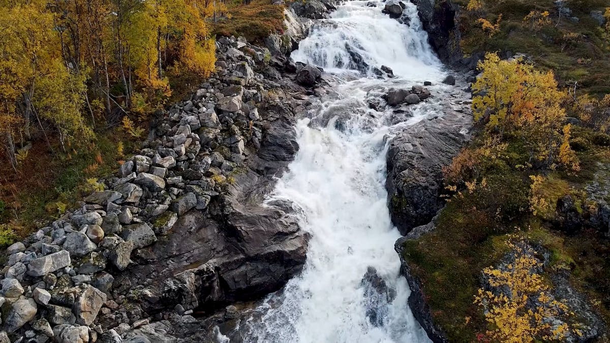 Beautiful Background Videos, Download The BEST Free 4k Stock Video ...