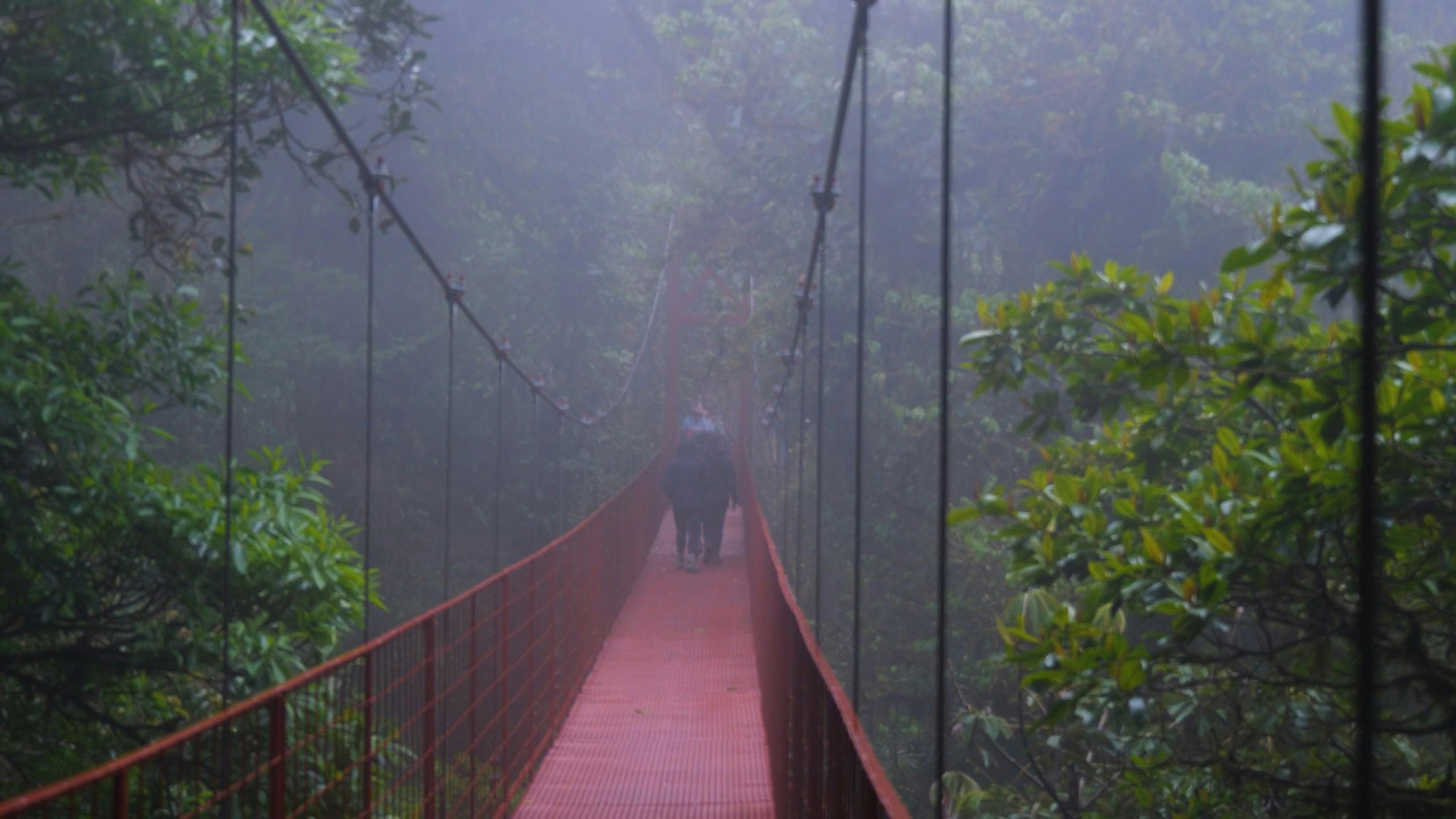 Ingeniería Verde Videos, Download The BEST Free 4k Stock Video Footage & Ingeniería Verde HD ...