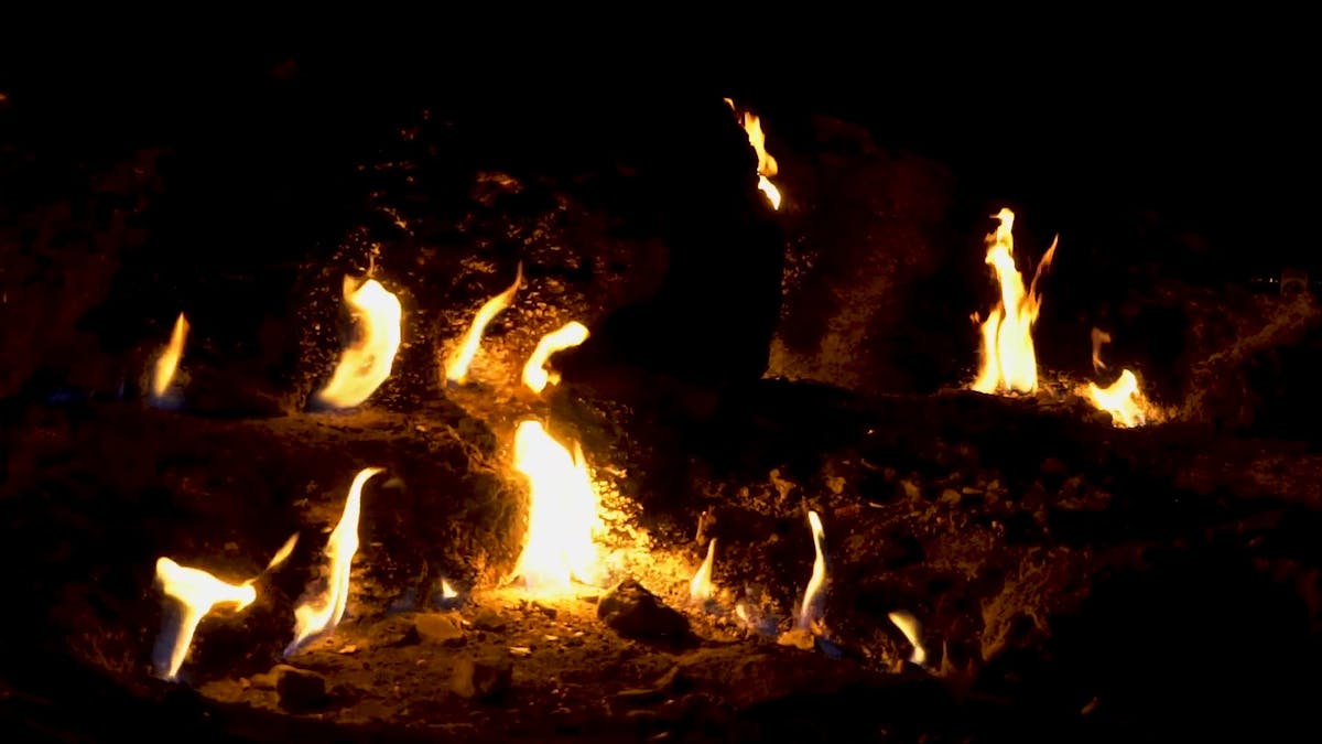 Reaction Video Videos, Download The BEST Free 4k Stock Video Footage ...