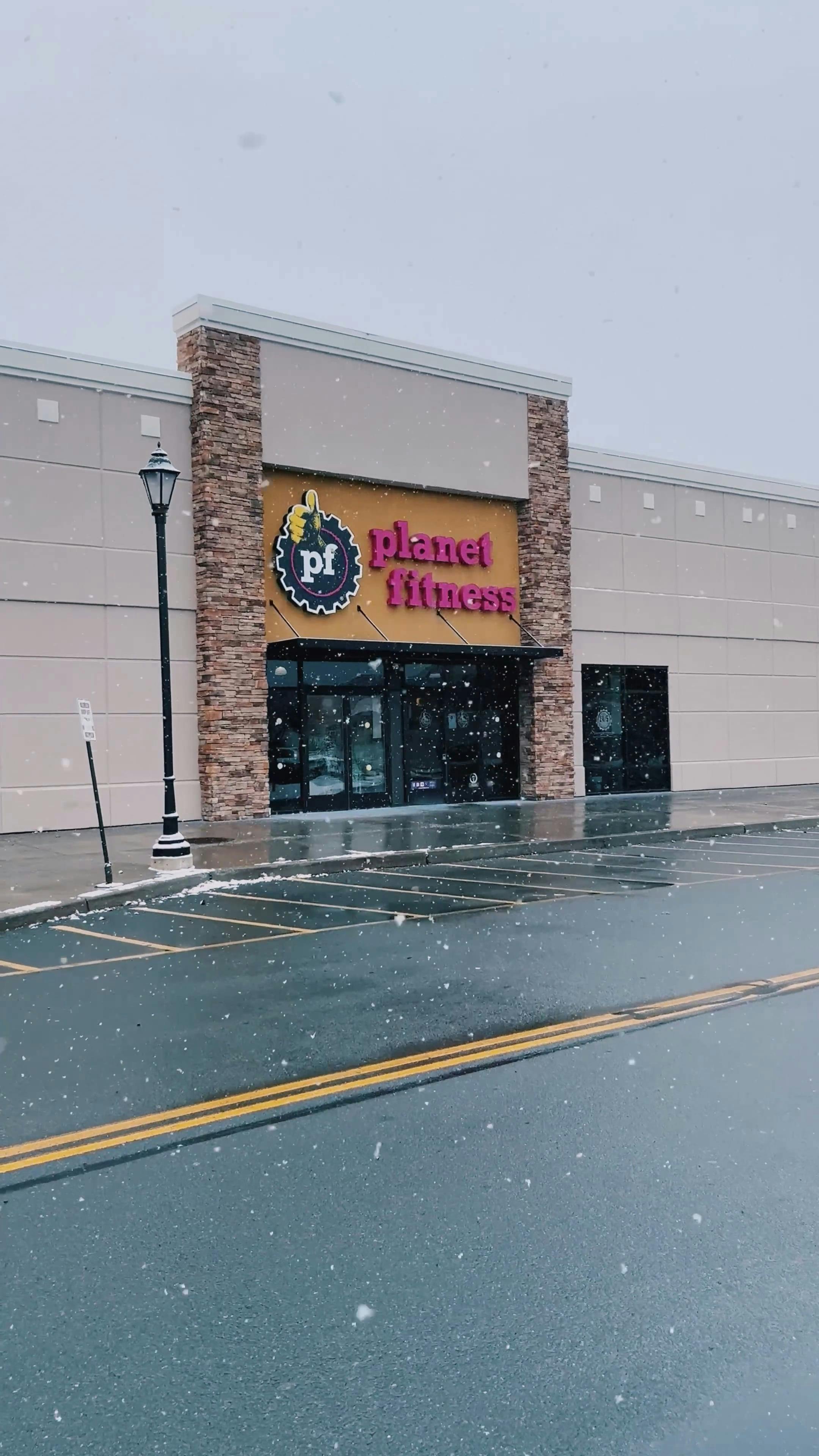 Cbum Gym Wallpaper Videos, Download The BEST Free 4k Stock Video ...