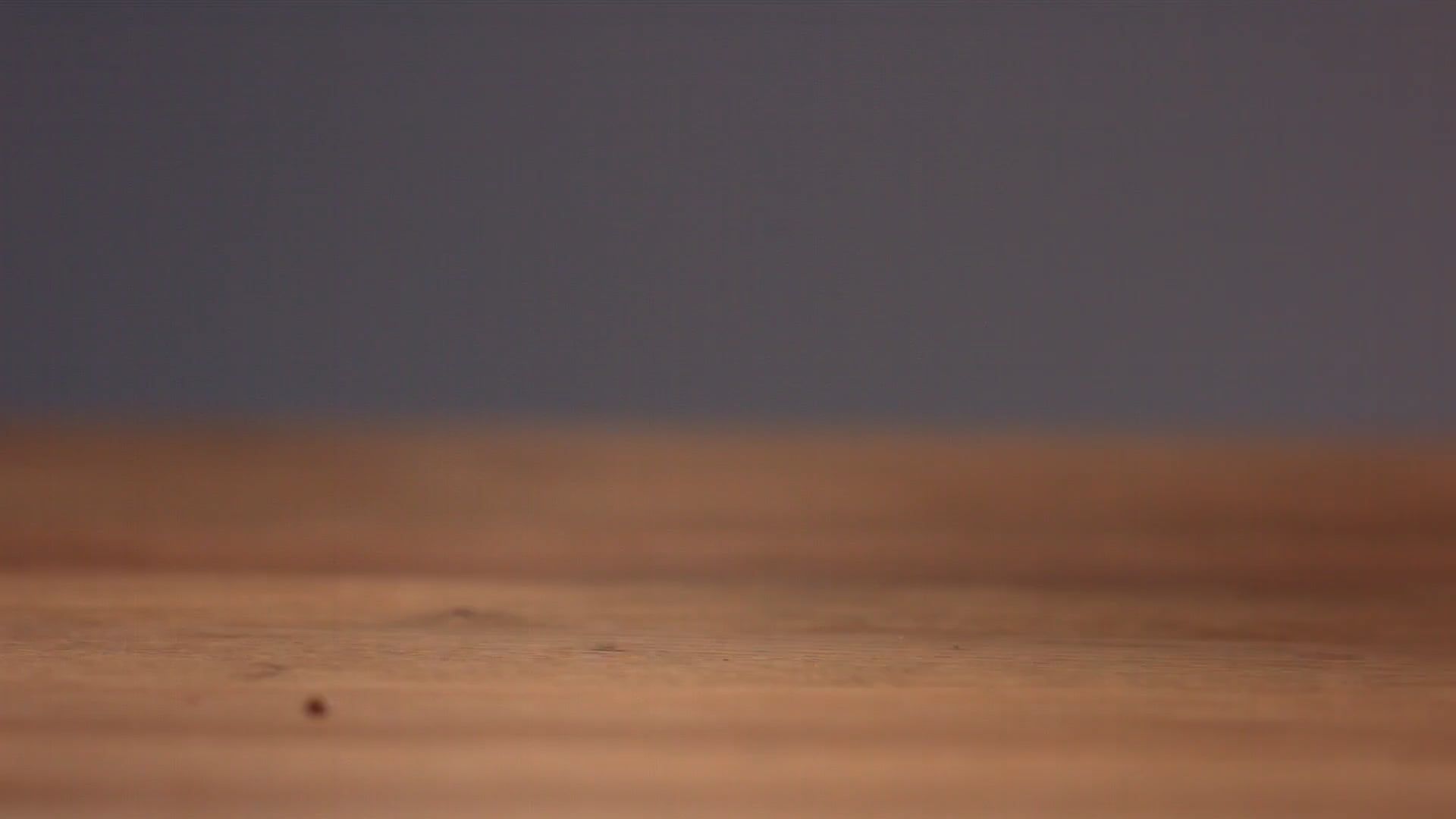 A close up of a pecan falling from a table Free Stock Video Footage ...