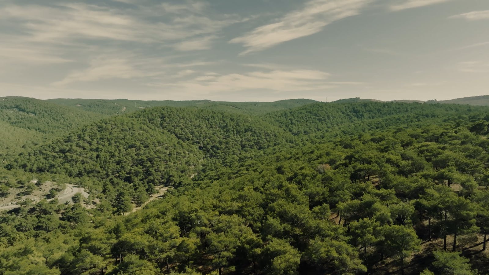 4k Background Videos, Download The BEST Free 4k Stock Video Footage ...