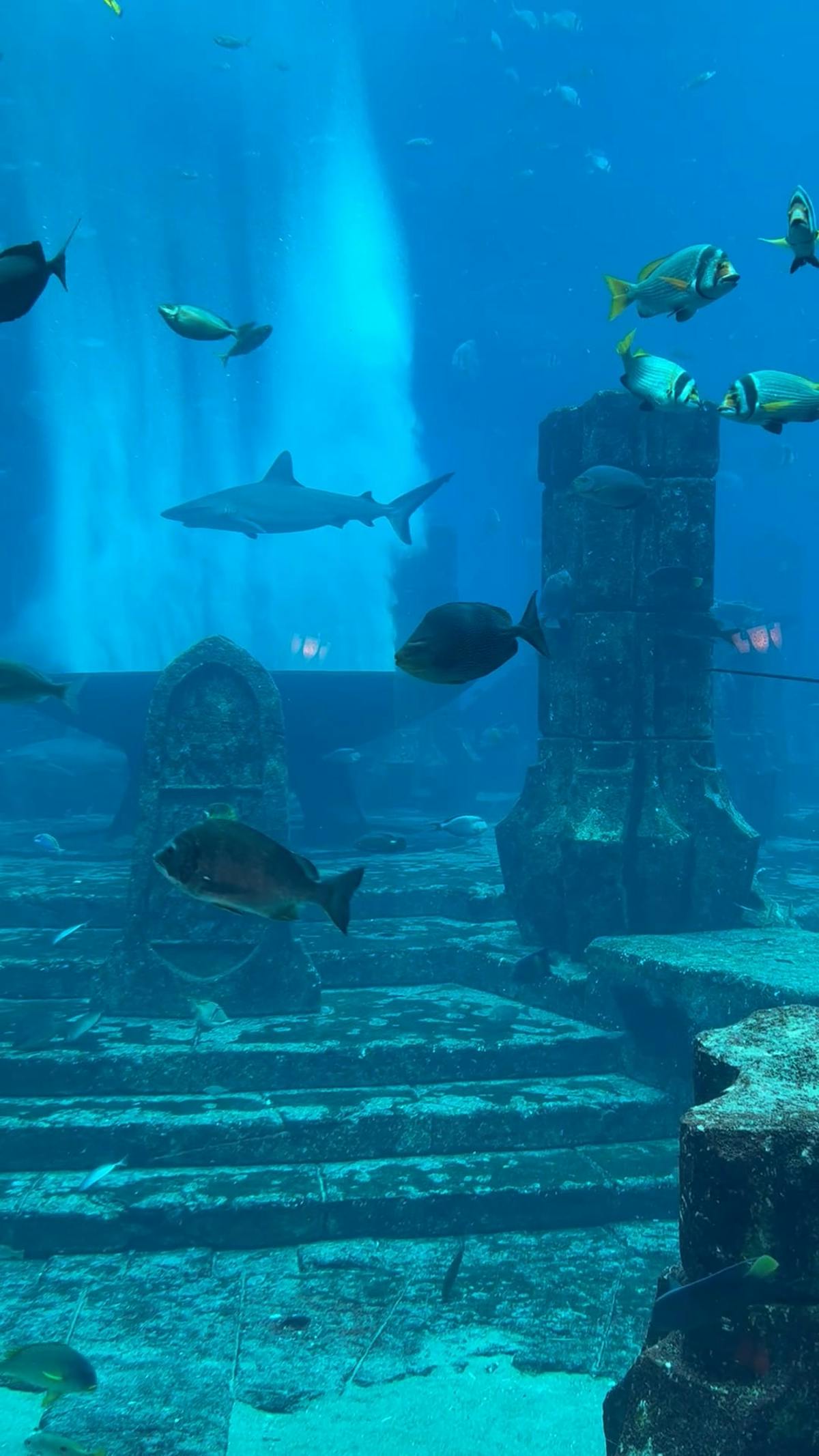 Atlantis Videos, Download The BEST Free 4k Stock Video Footage ...