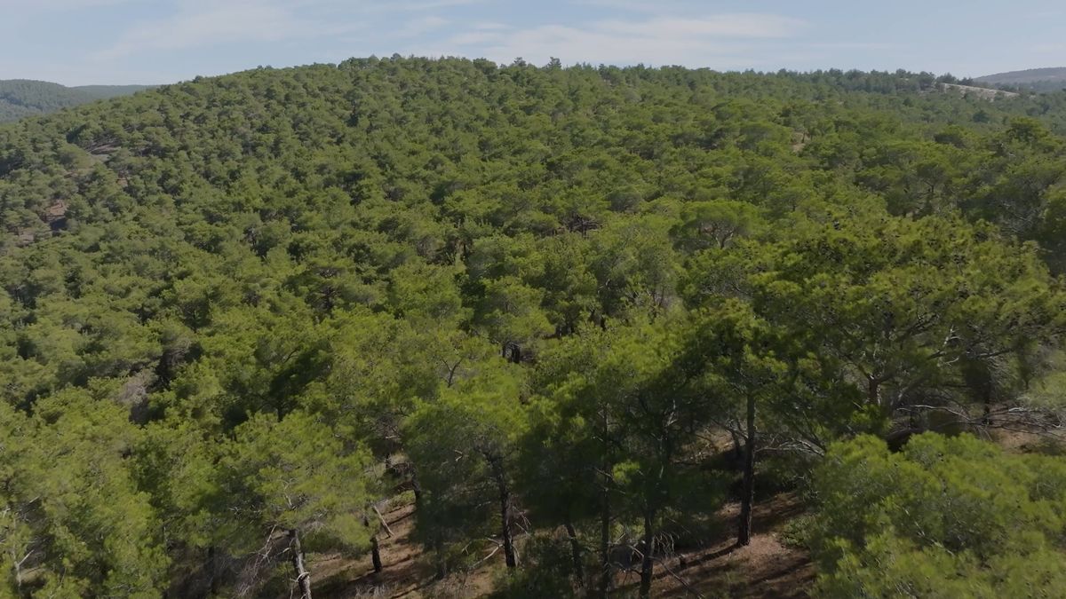 4k Background Videos, Download The BEST Free 4k Stock Video Footage ...