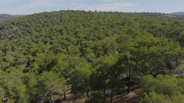 4k Background Videos, Download The BEST Free 4k Stock Video Footage ...