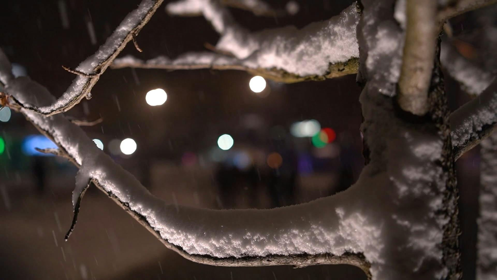 Lights In Background Videos, Download The BEST Free 4k Stock Video ...