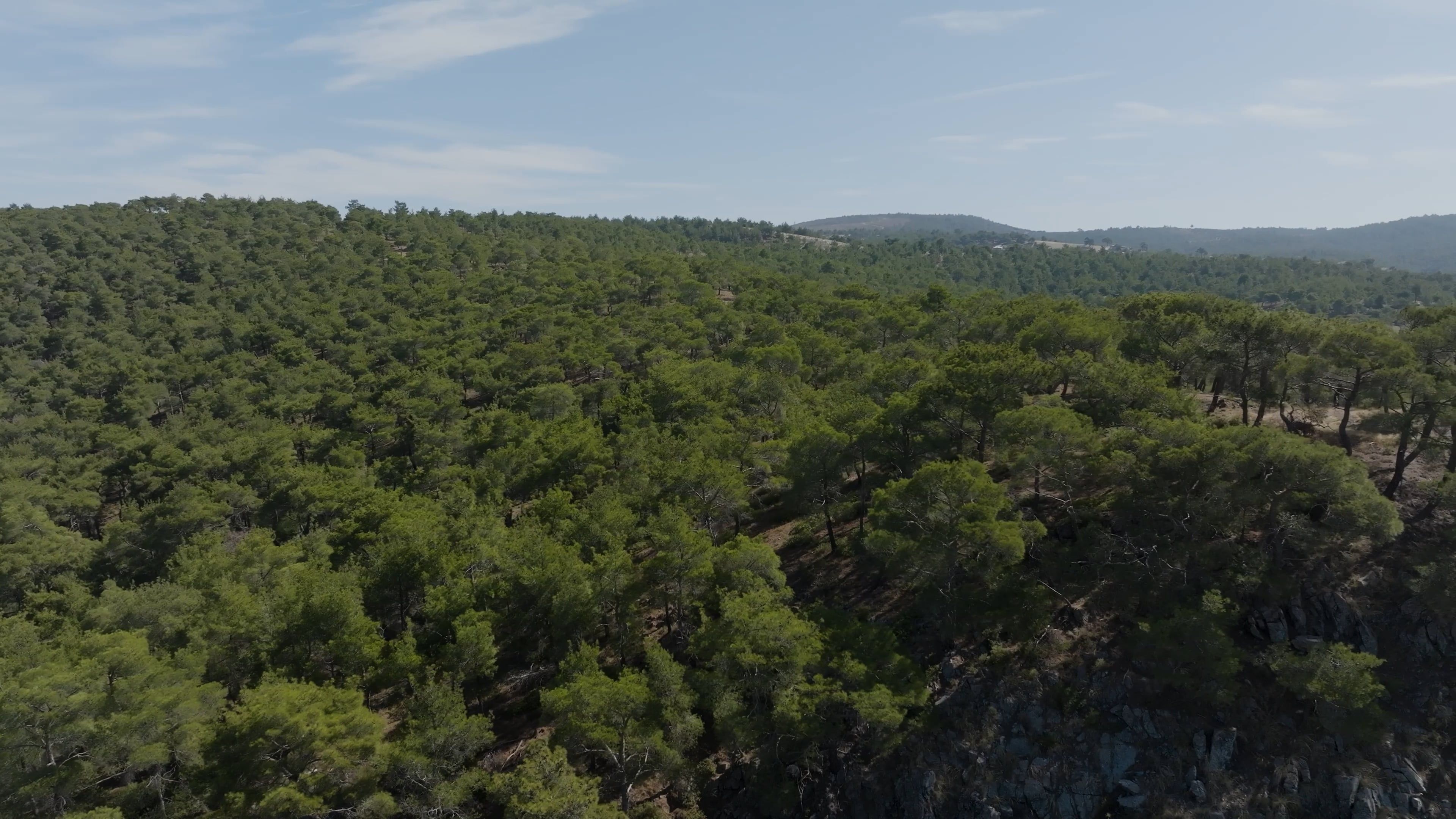 Vídeos de stock gratuitos sobre 4k, acción, aéreo, agricultura ...