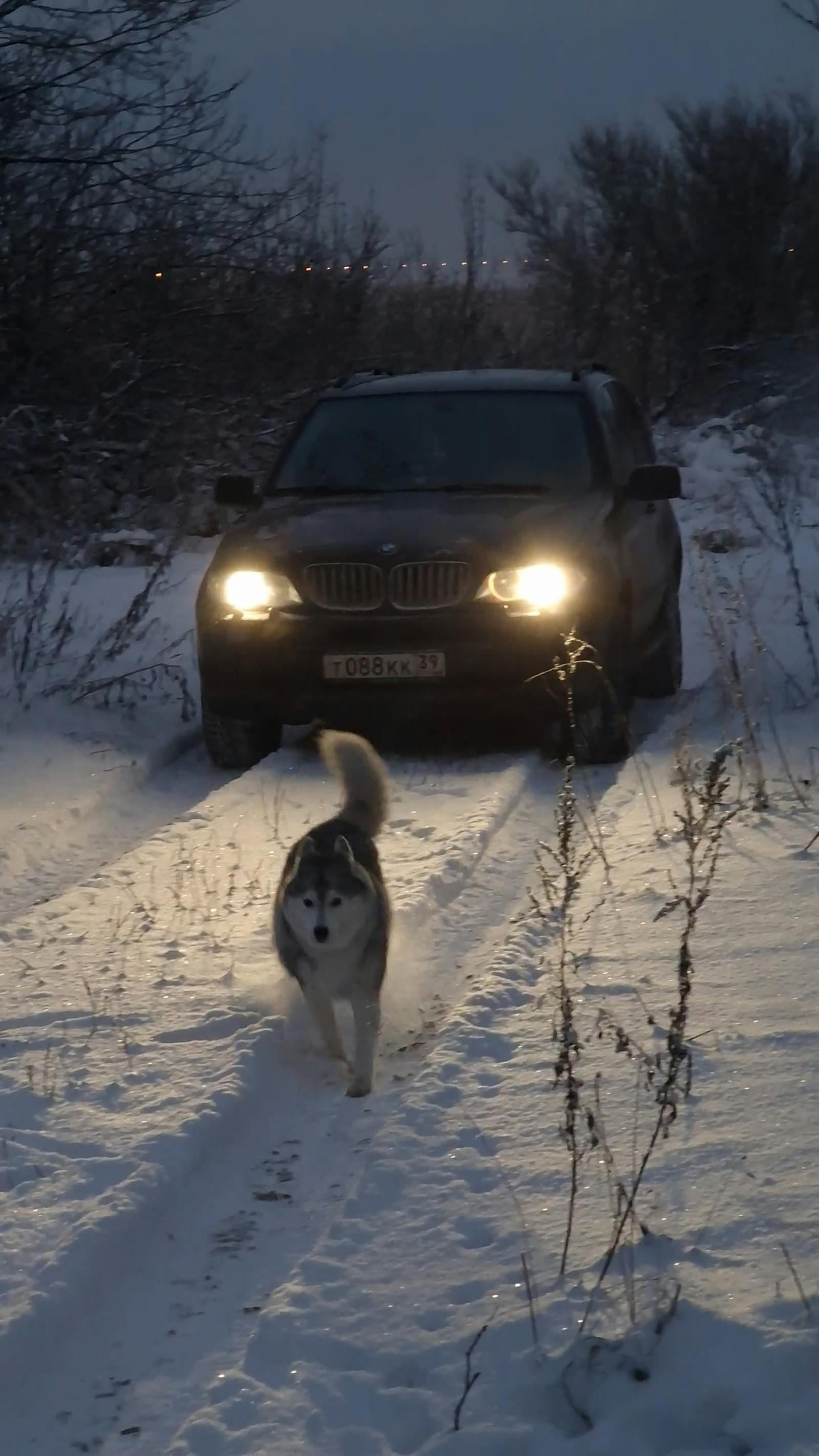 Bmw Animated Car Wallpaper Videos, Download The BEST Free 4k Stock ...