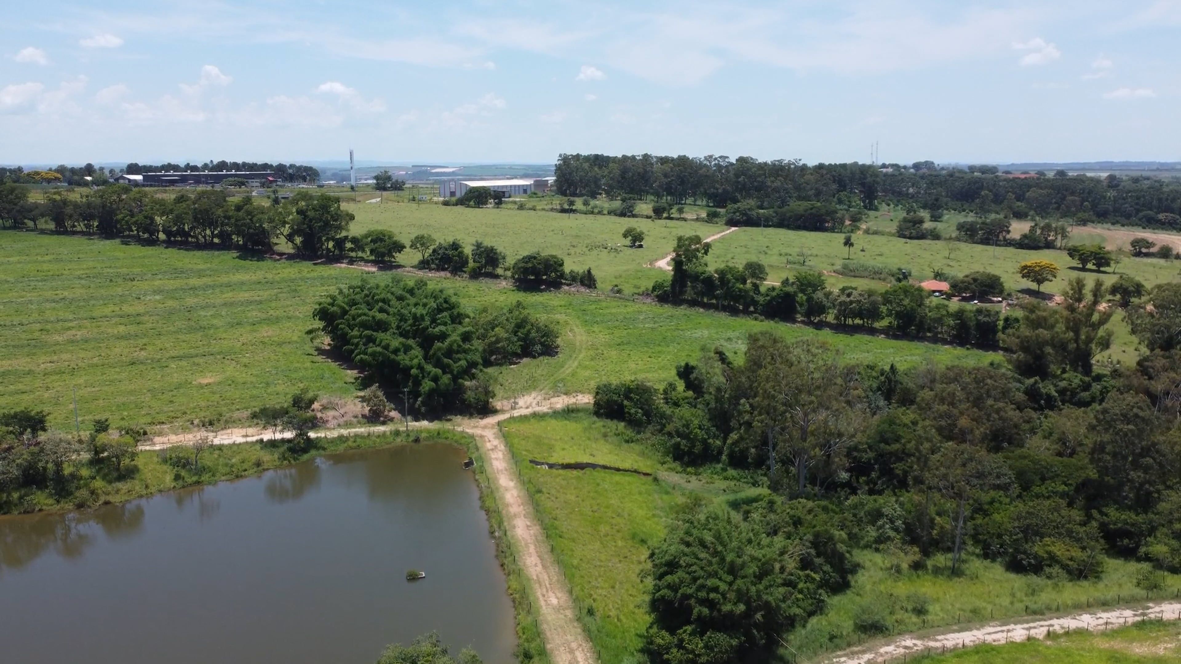PASTO DE GADO Free Stock Video Footage, Royalty-Free 4K & HD Video Clip