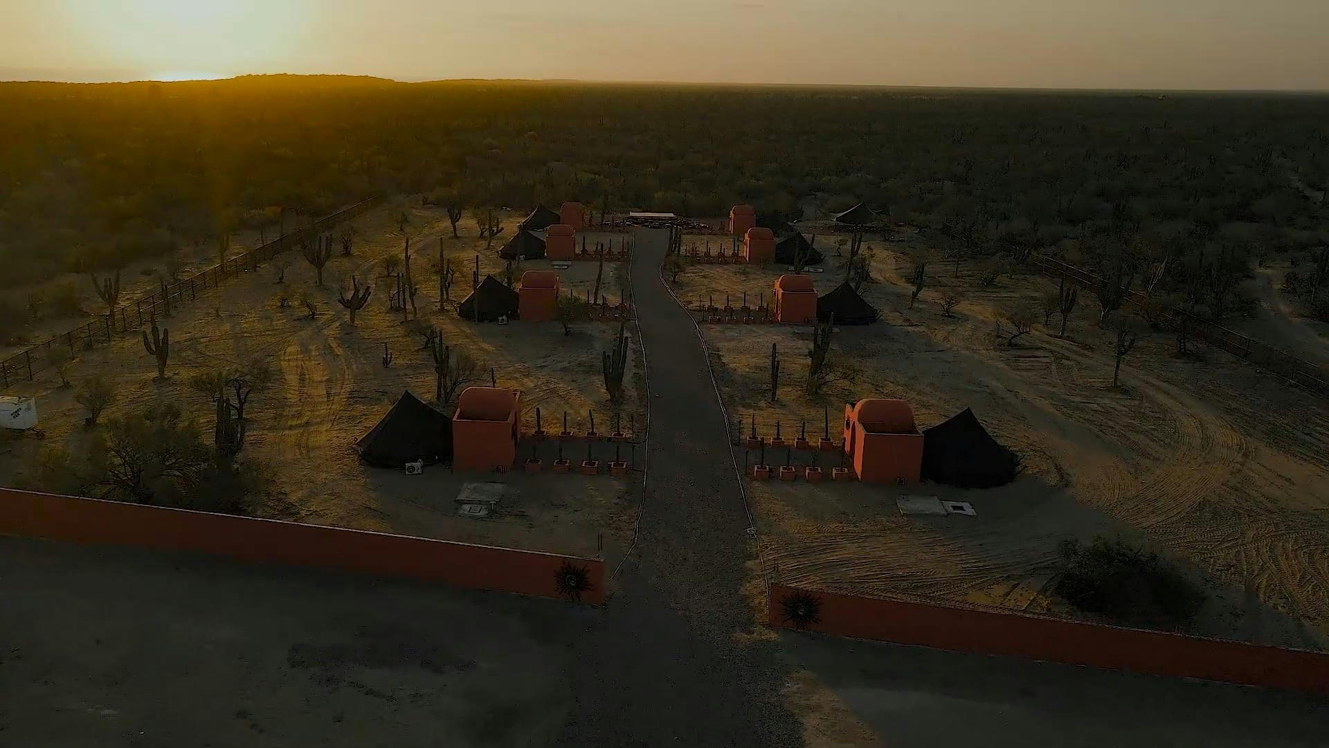 Dramatic Cactus Videos, Download The BEST Free 4k Stock Video Footage ...