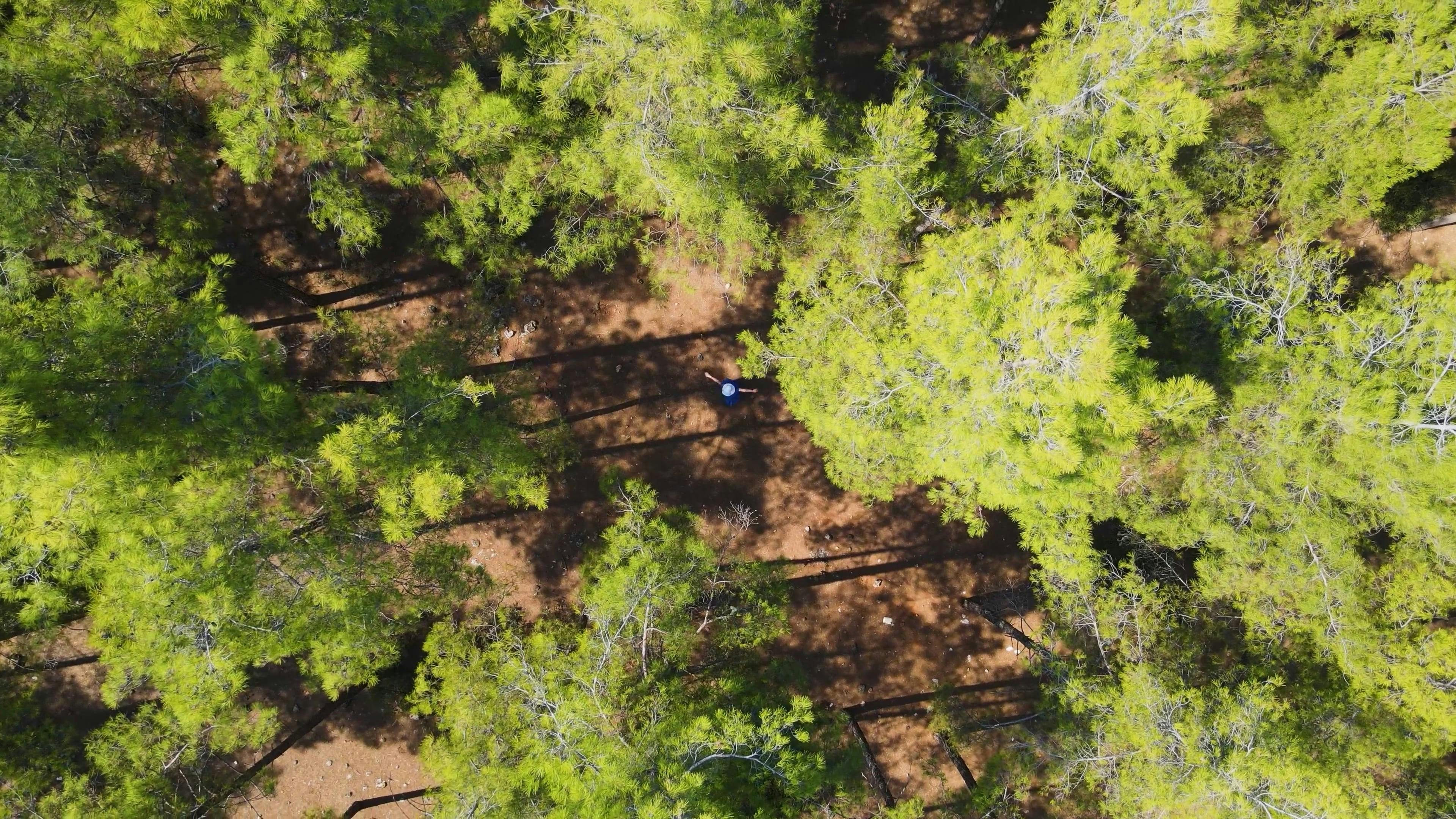 Olgun+Kadın+Pornoları Videos, Download The BEST Free 4k Stock Video ...