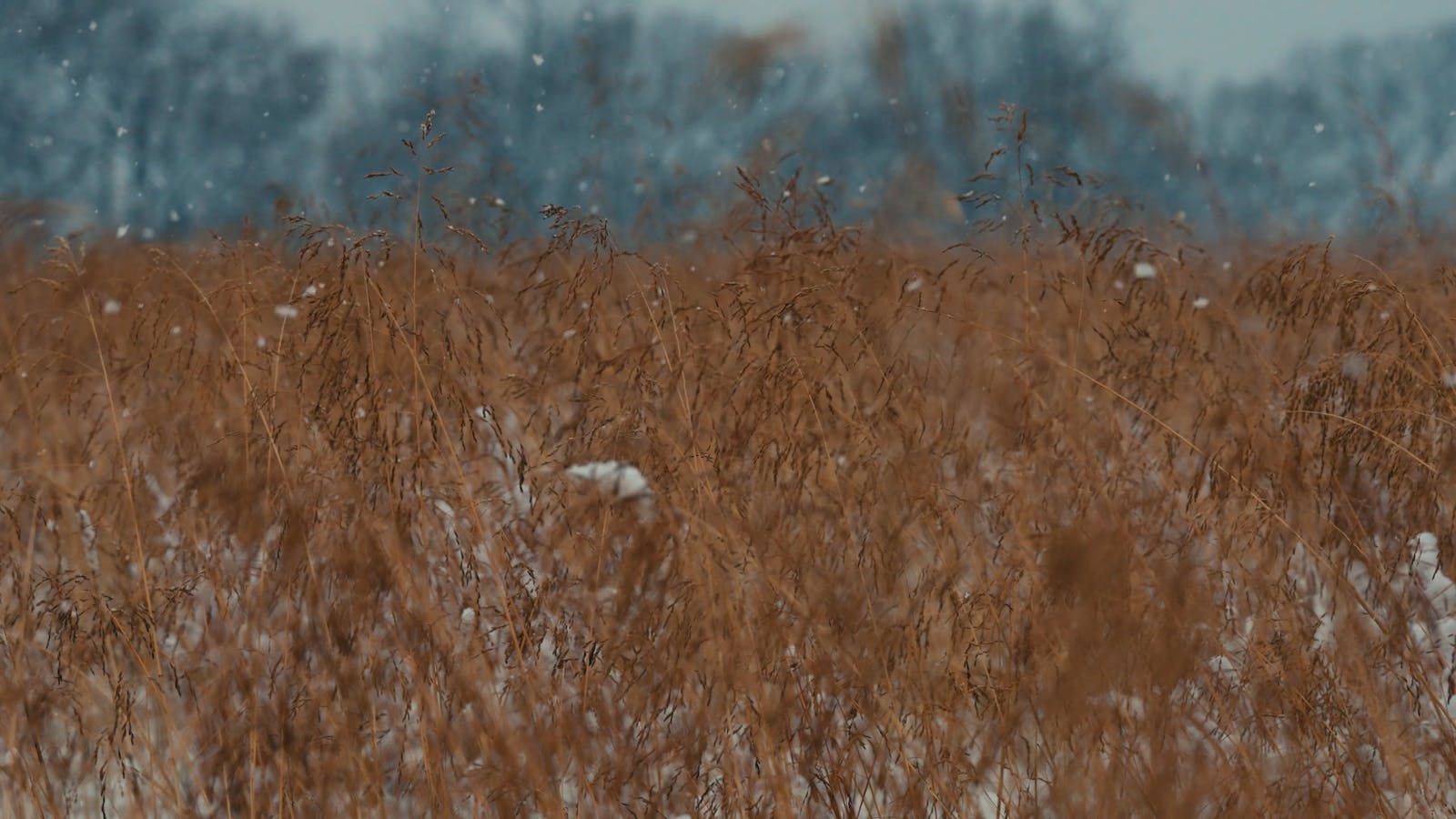 Free B Roll Videos, Download The BEST Free 4k Stock Video Footage ...