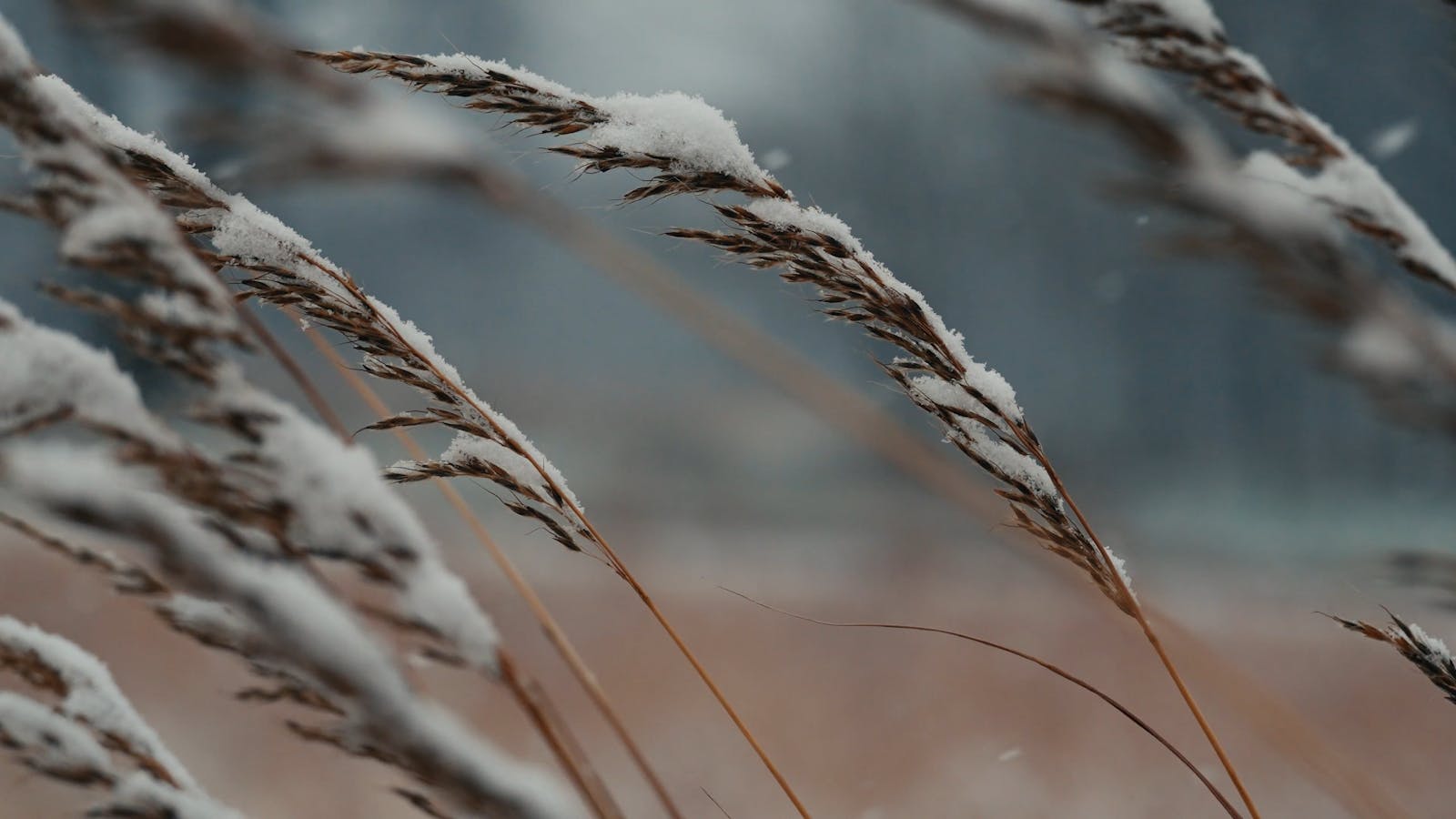 B Roll Videos, Download The BEST Free 4k Stock Video Footage & B Roll ...