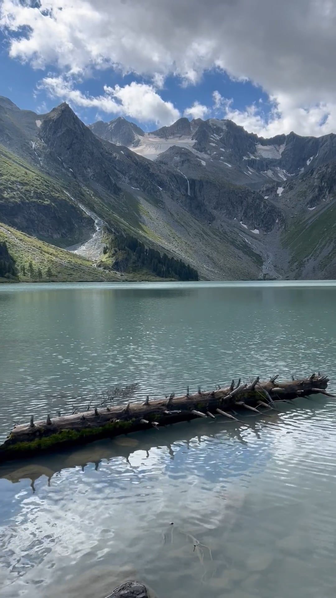 A lake with a log floating in it and mountains in the background Free ...