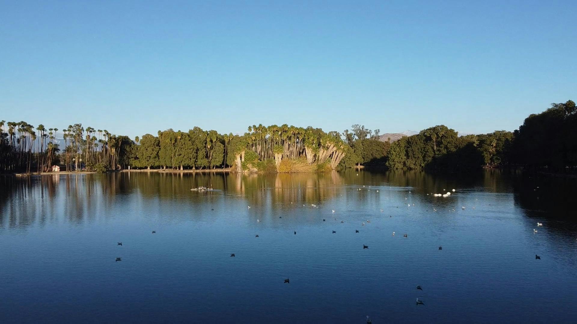 Lake Evans, Riverside Free Stock Video Footage, Royalty-Free 4K & HD ...