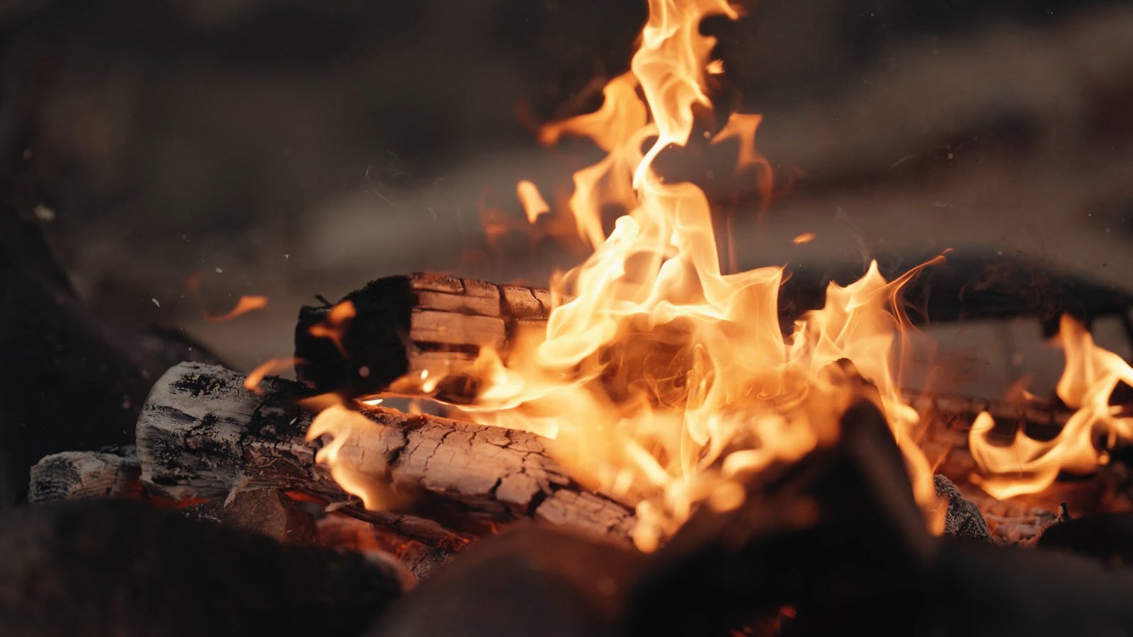 B Roll Footage Videos, Download The BEST Free 4k Stock Video Footage ...