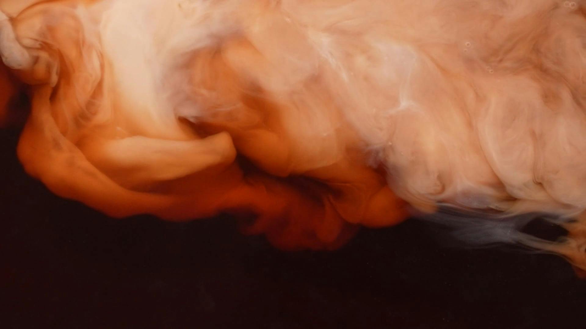 Kmeel.com Videos - Photography