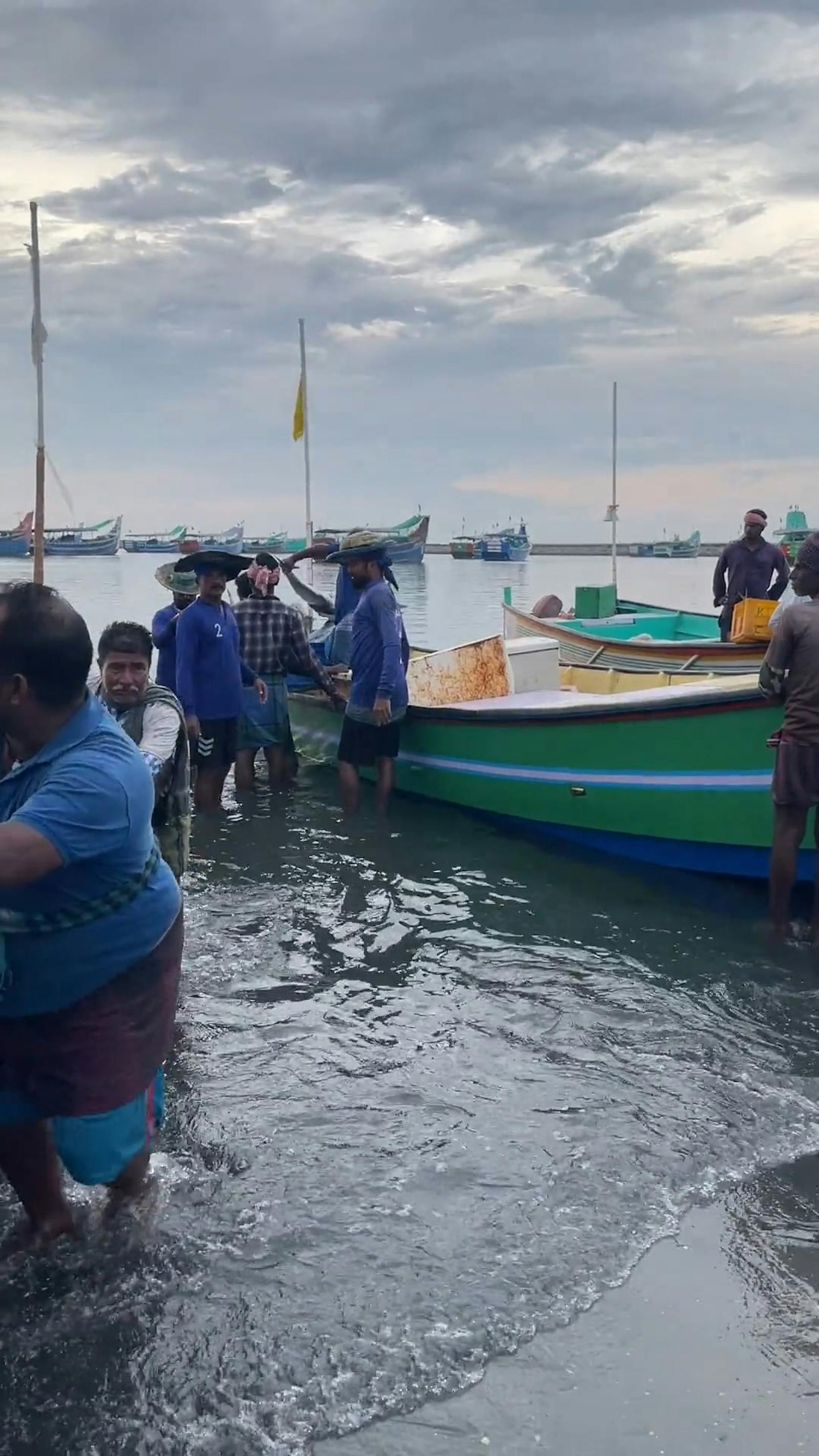 Big Fish Videos, Download The BEST Free 4k Stock Video Footage & Big ...