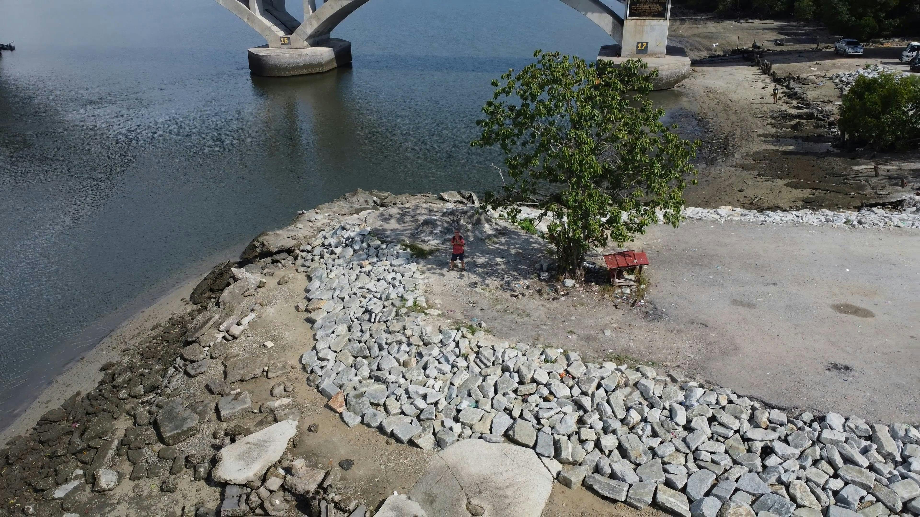 Swamp Structure Videos, Download The BEST Free 4k Stock Video Footage ...