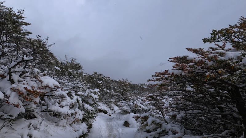 Fogg Videos, Download The BEST Free 4k Stock Video Footage & Fogg HD ...