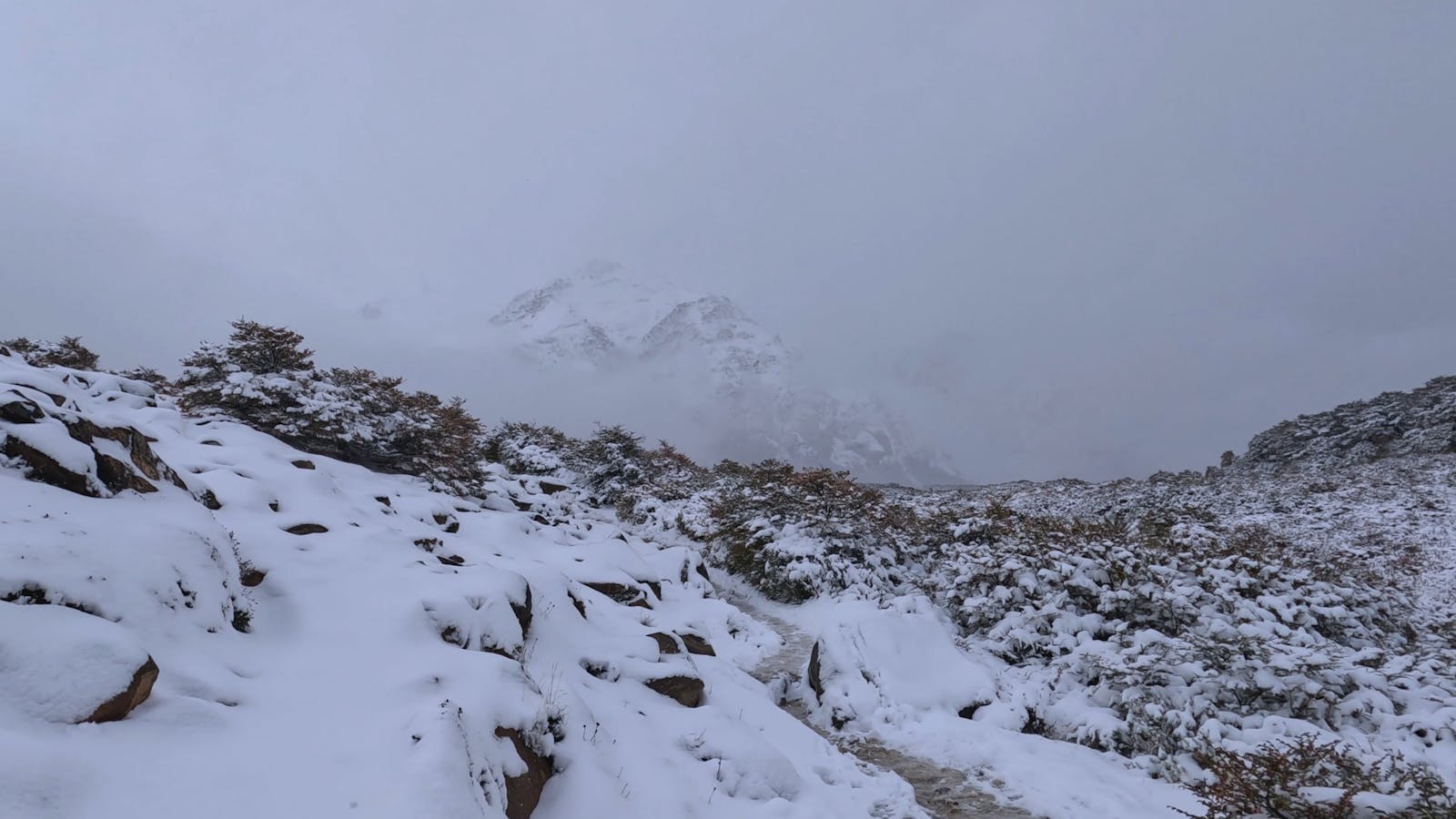 Fogg Videos, Download The BEST Free 4k Stock Video Footage & Fogg HD ...