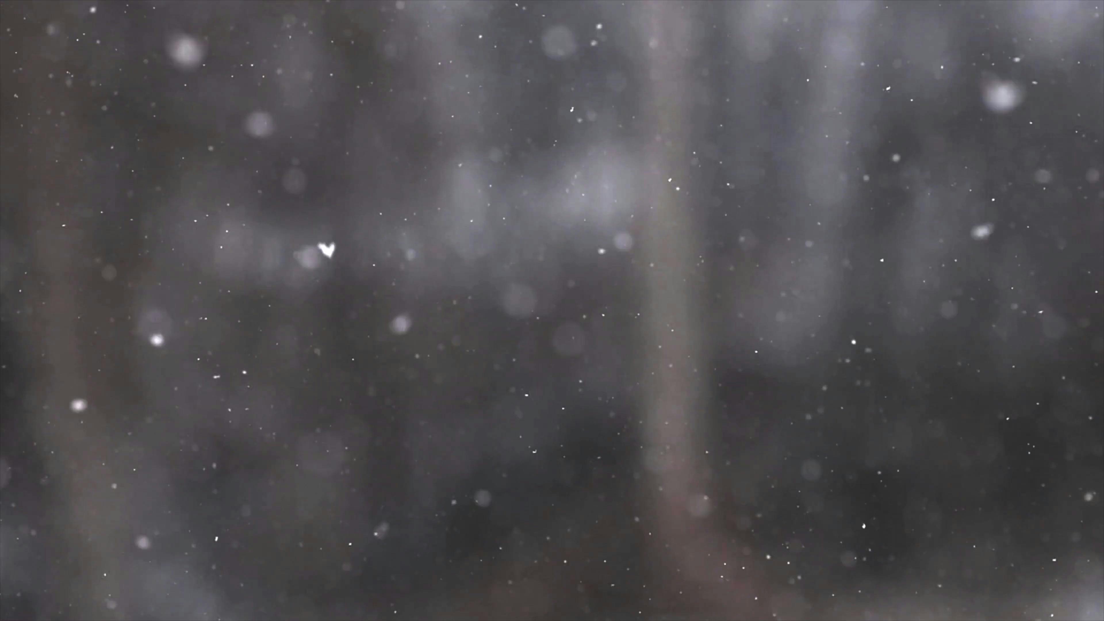Snow Falling Down Free Stock Video Footage, Royalty-Free 4K & HD Video Clip