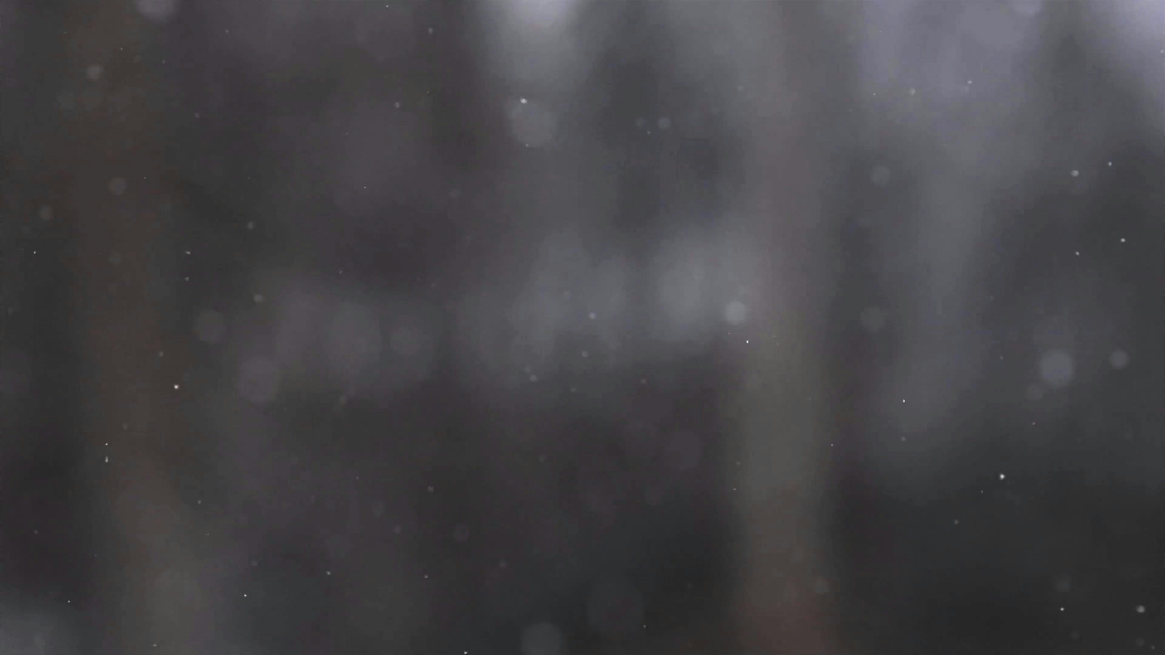 Snow Falling Video Free Stock Video Footage, Royalty-Free 4K & HD Video ...