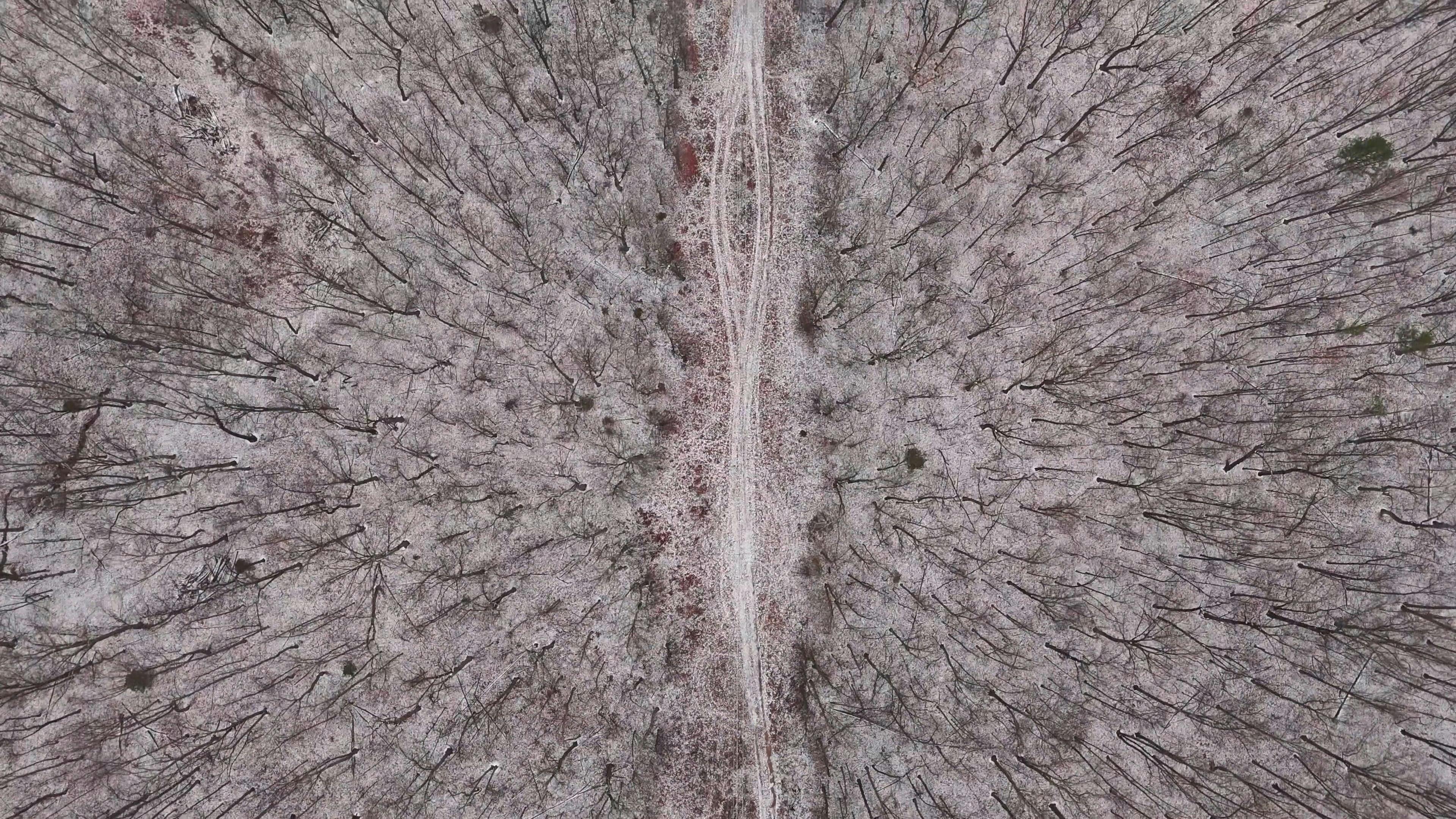 Road Divider Texture Videos, Download The BEST Free 4k Stock Video ...