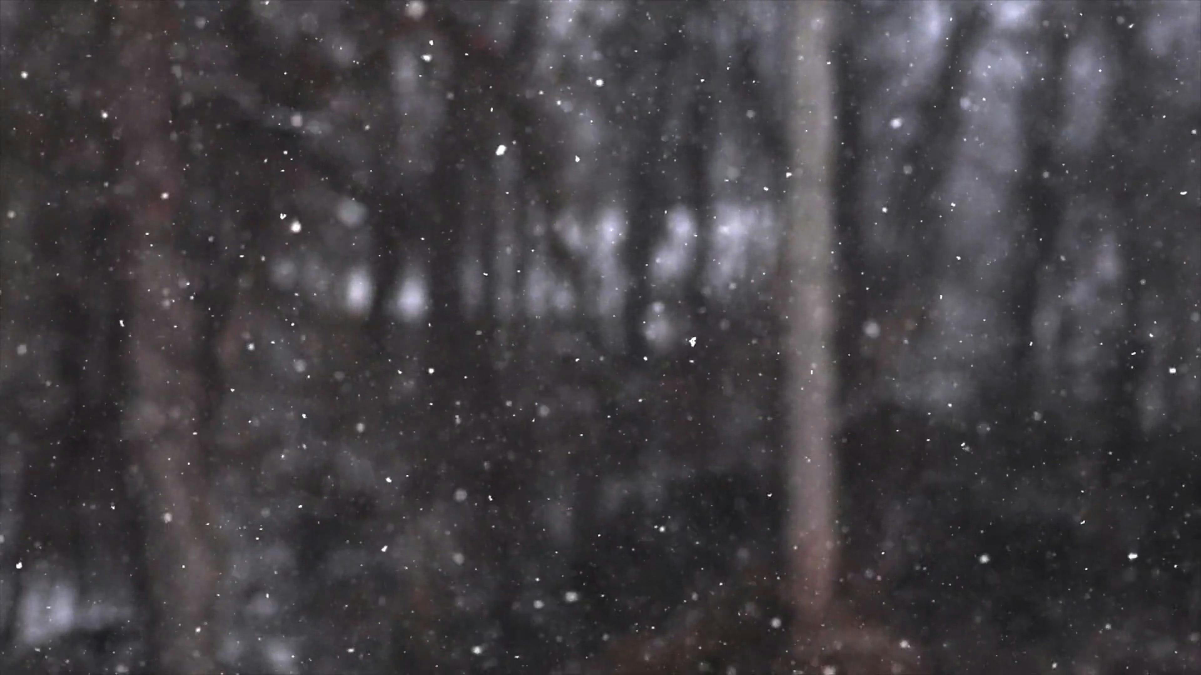 Snow falling from the sky over a forest Free Stock Video Footage ...