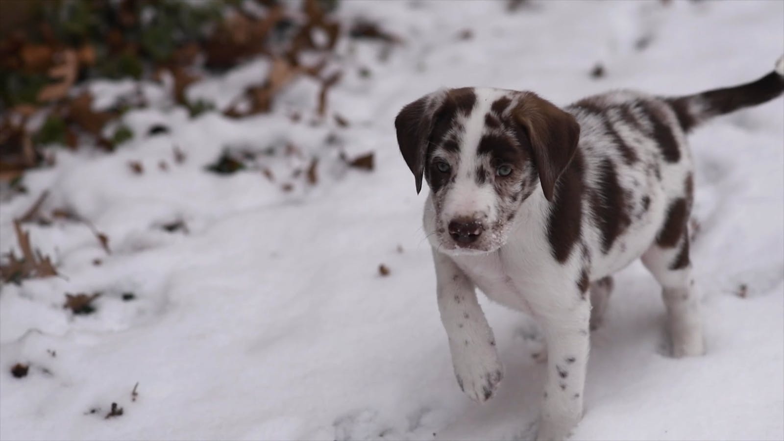 Short Video Nature Videos, Download The BEST Free 4k Stock Video ...