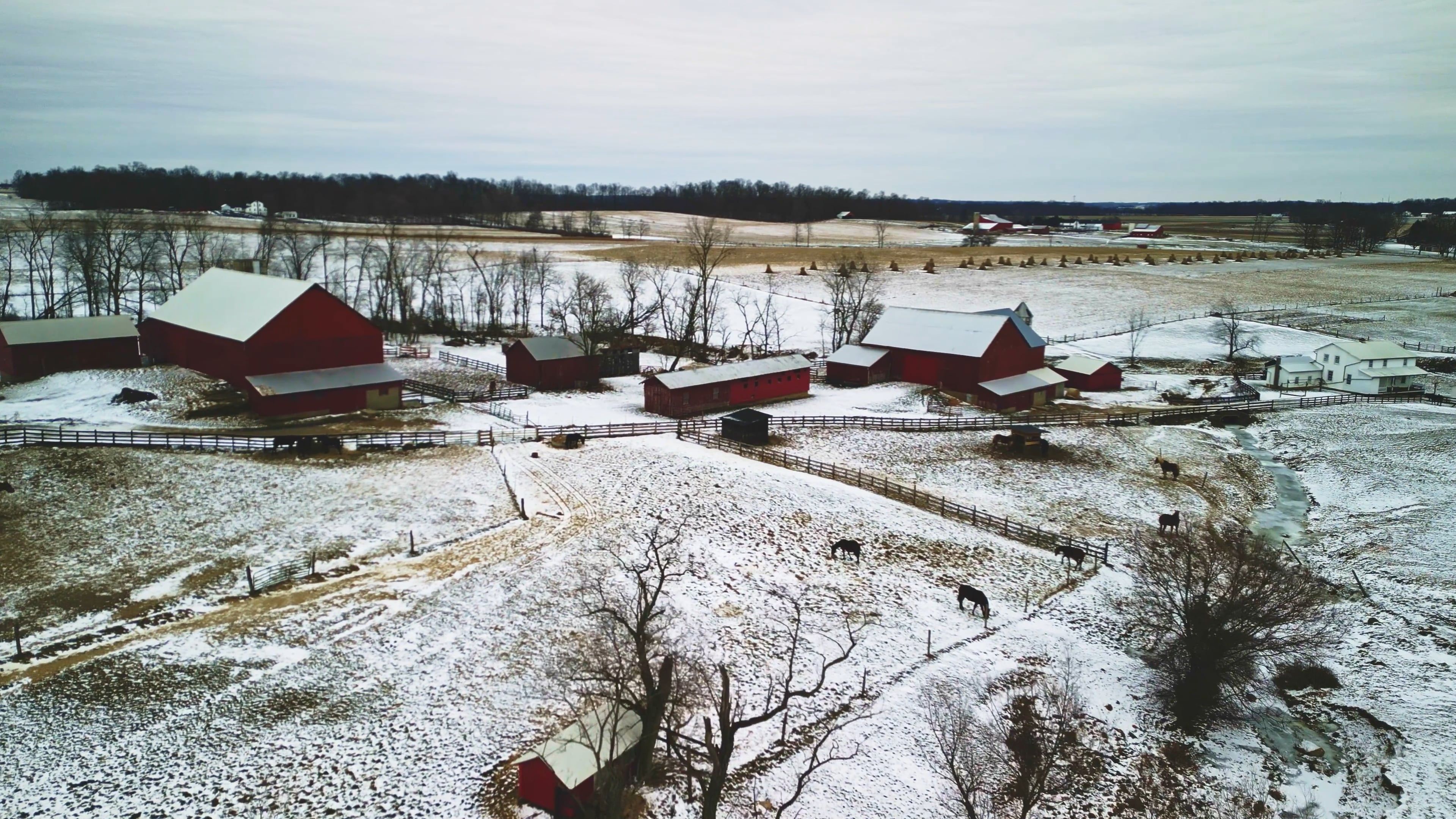 Amish farm scene Free Stock Video Footage, Royalty-Free 4K & HD Video Clip