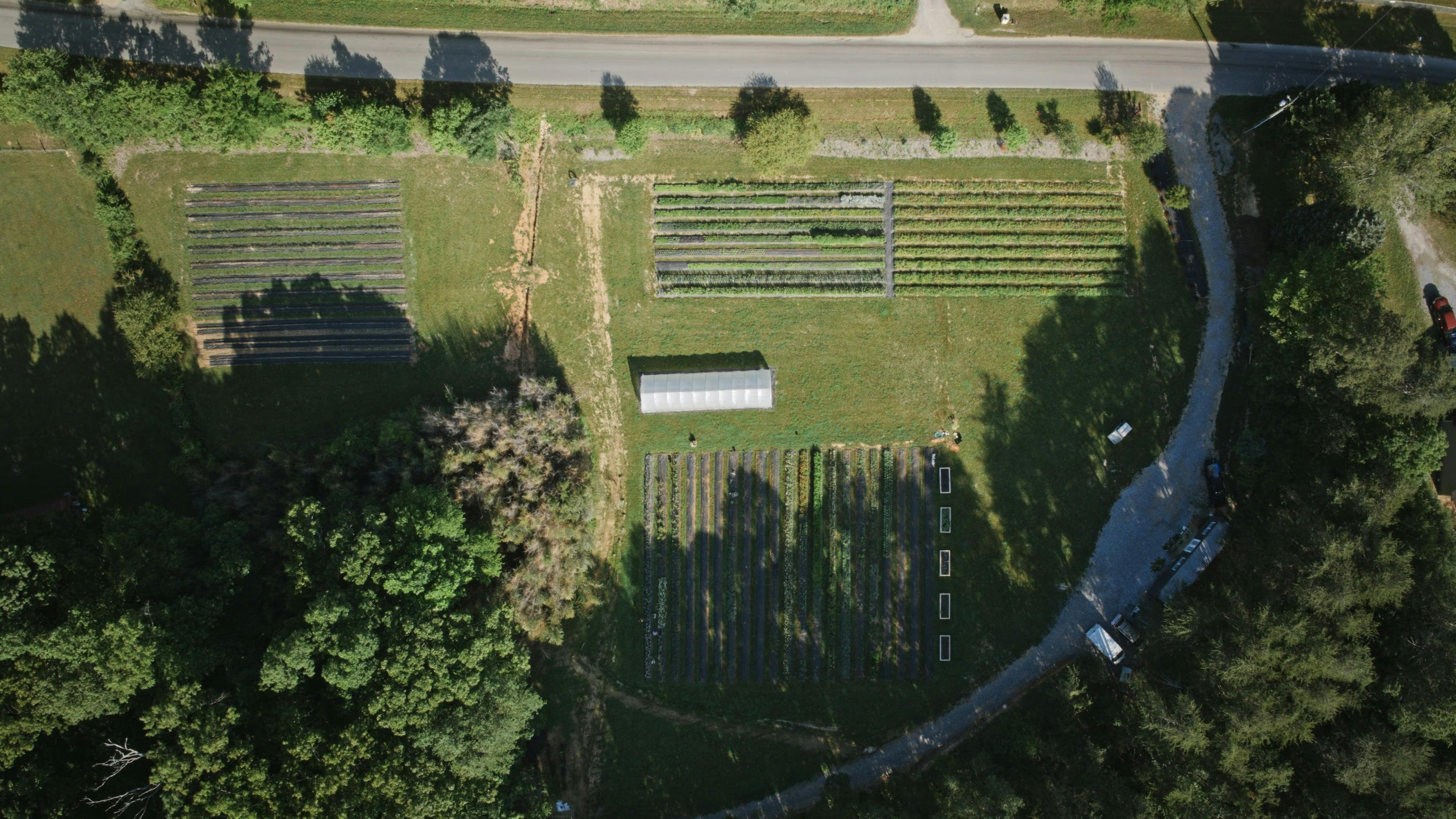 An aerial view of a farm with rows of trees and a fence Free Stock ...