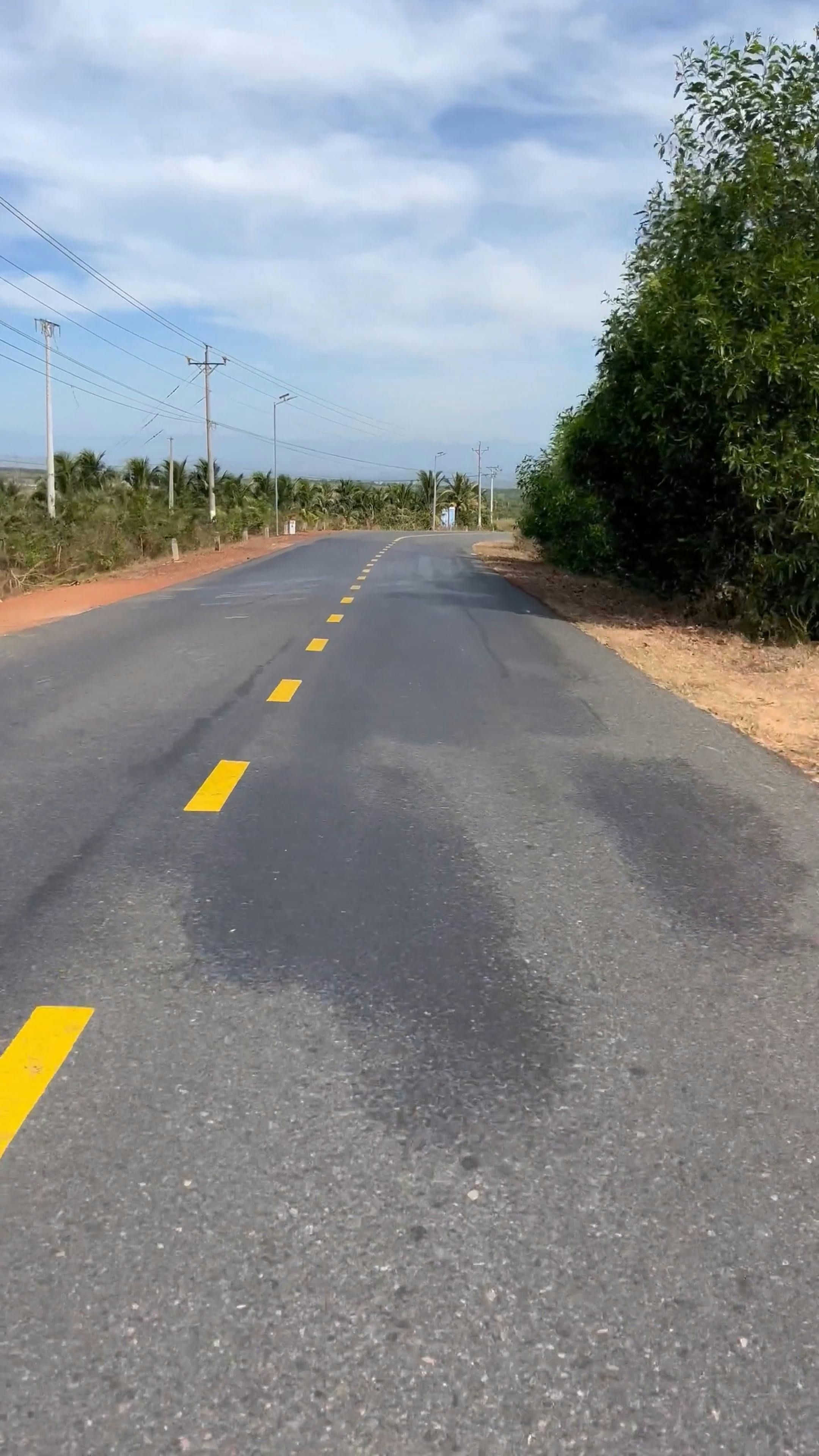 A road with yellow lines and a tree on the side Free Stock Video ...